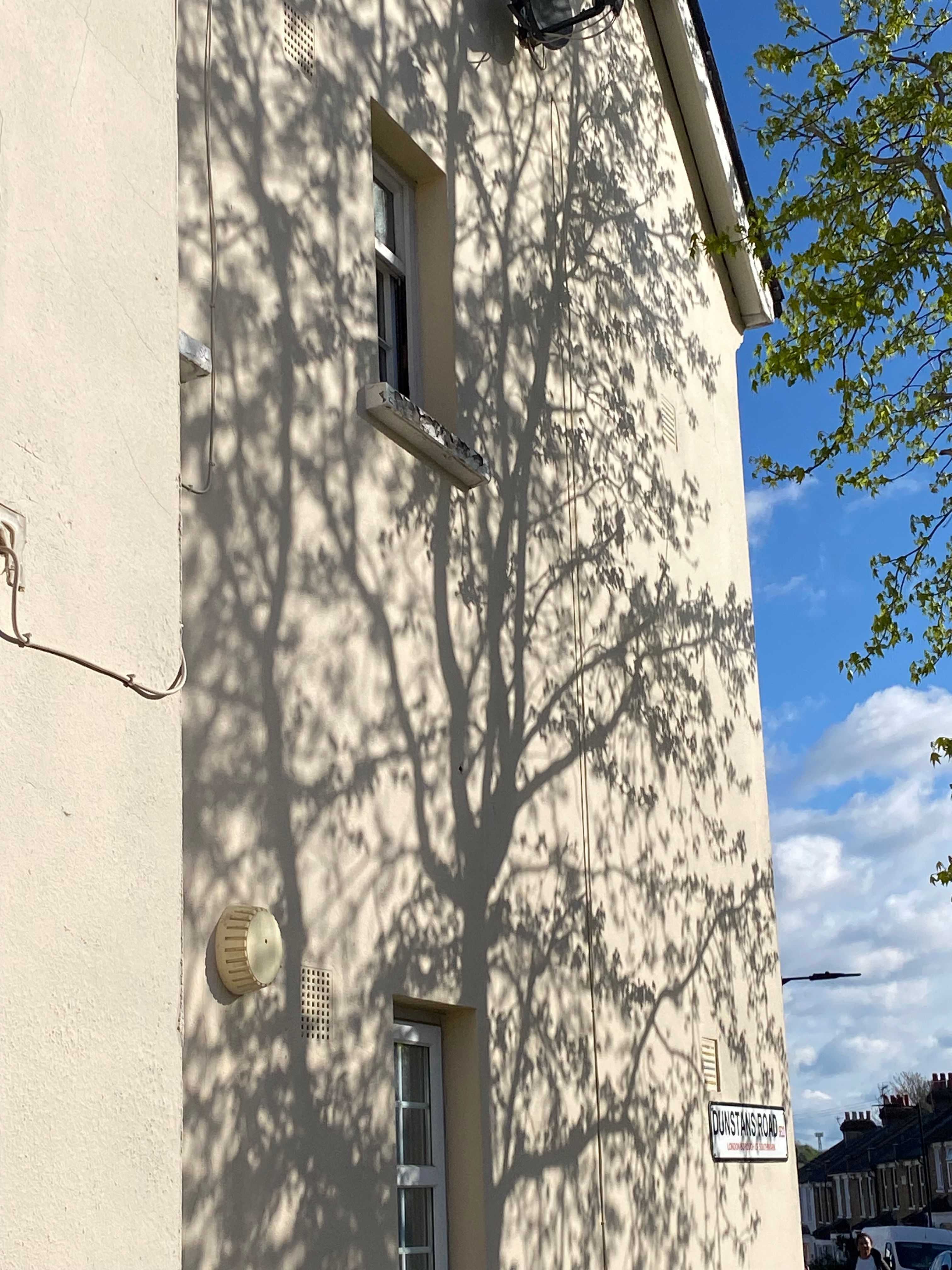 Artistic Shadow of Tree on Building Wall in London · Free Stock Photo
