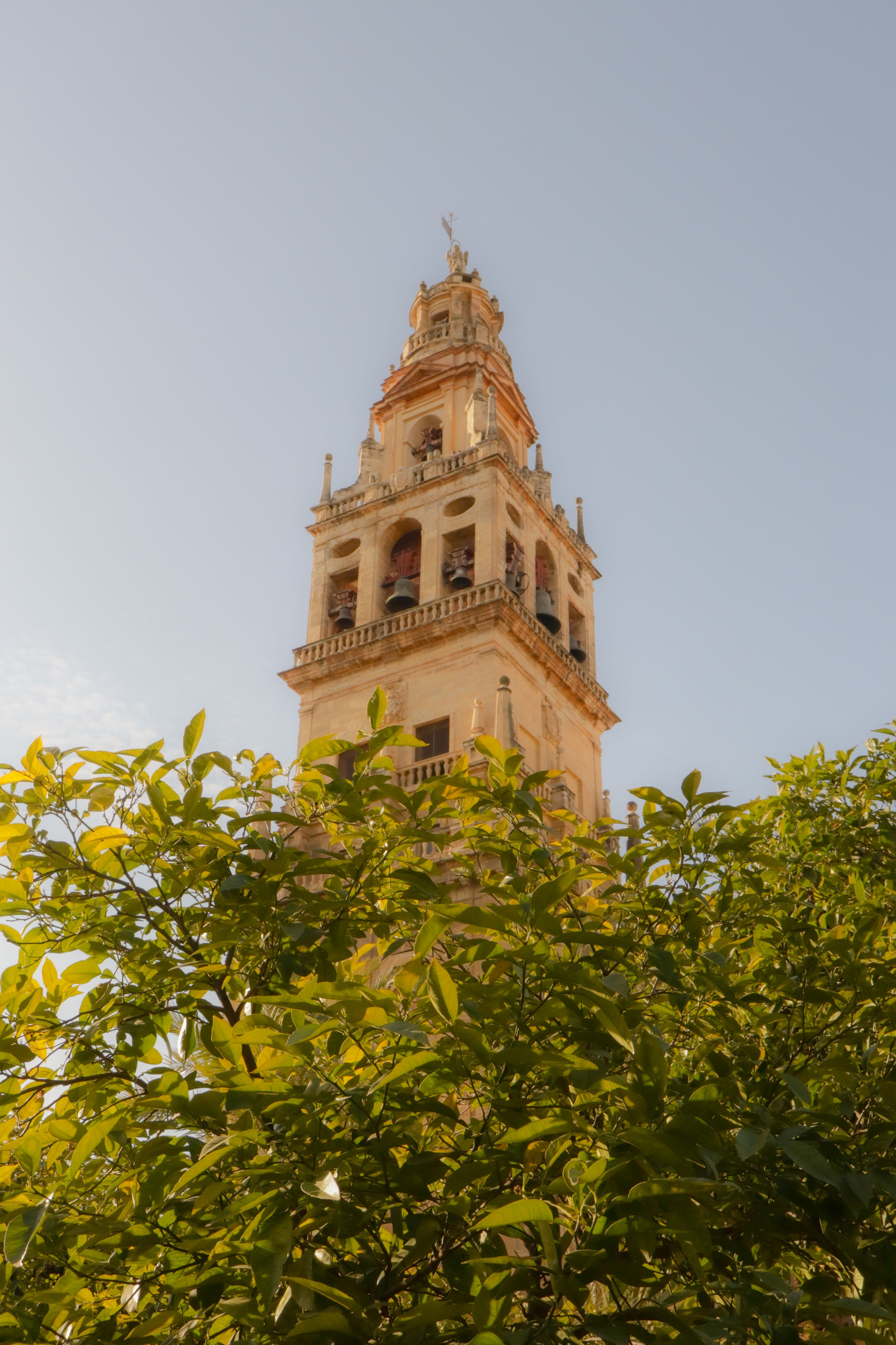 Historic Bell Tower with Verdant Foliage · Free Stock Photo