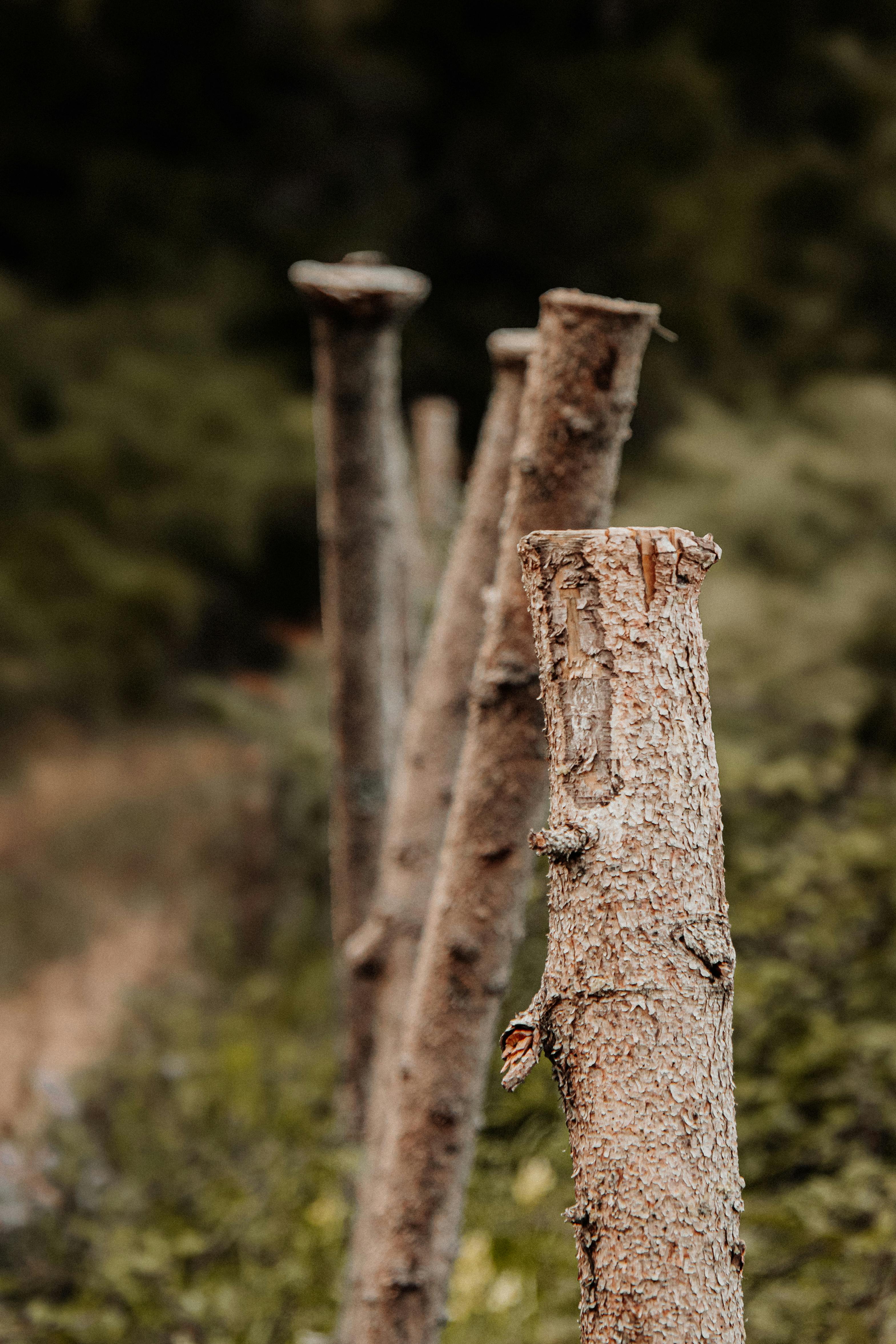 4k Horizontal Wallpapers Photos, Download The BEST Free 4k Horizontal ...