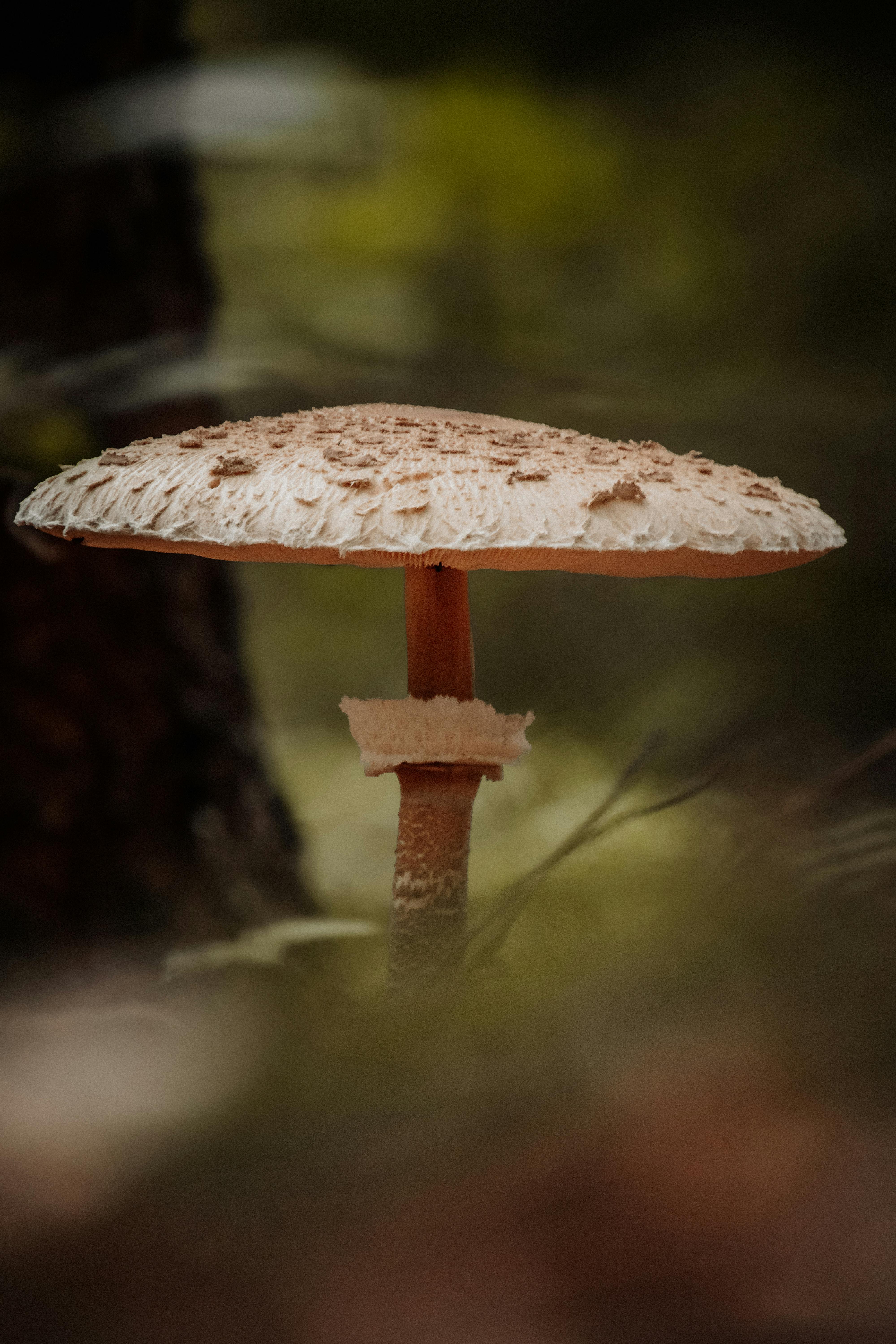 30 000+ najlepszych zdjęć z kategorii: 4k Tapety Auta · Do pobrania ...