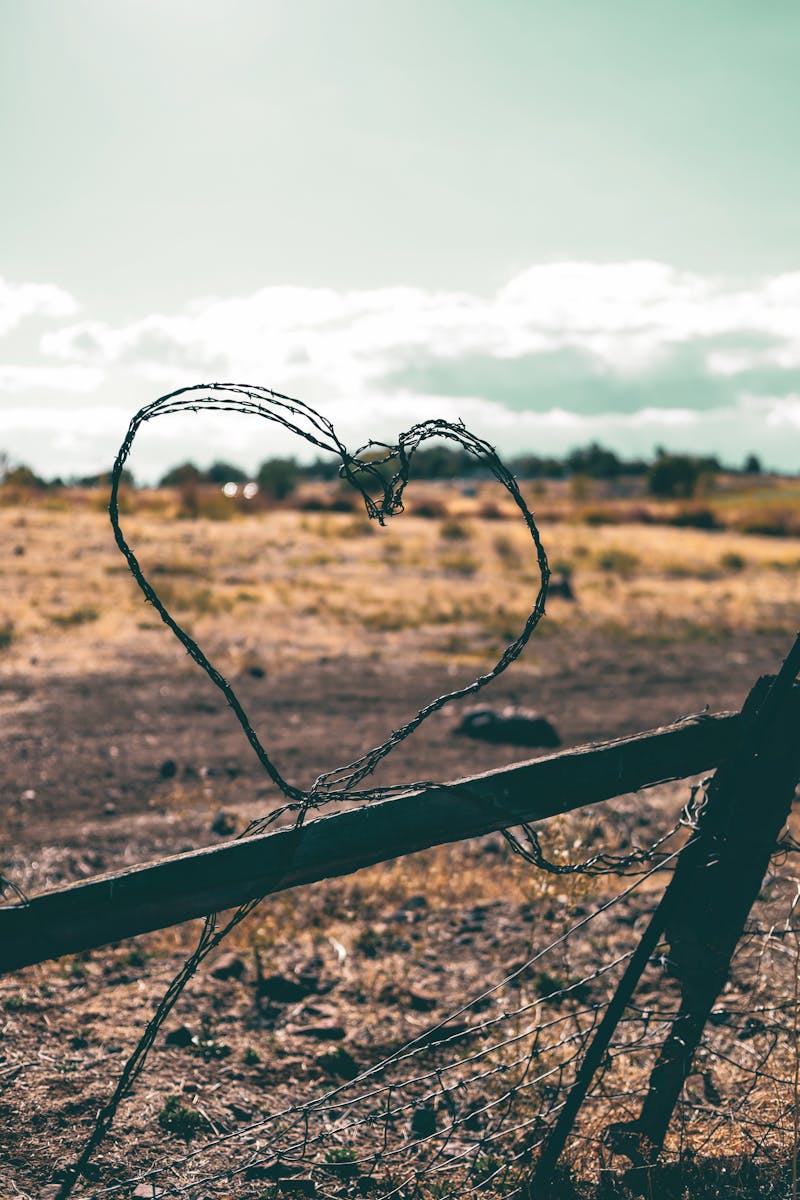 Heart Shape Photos, Download The BEST Free Heart Shape Stock Photos ...