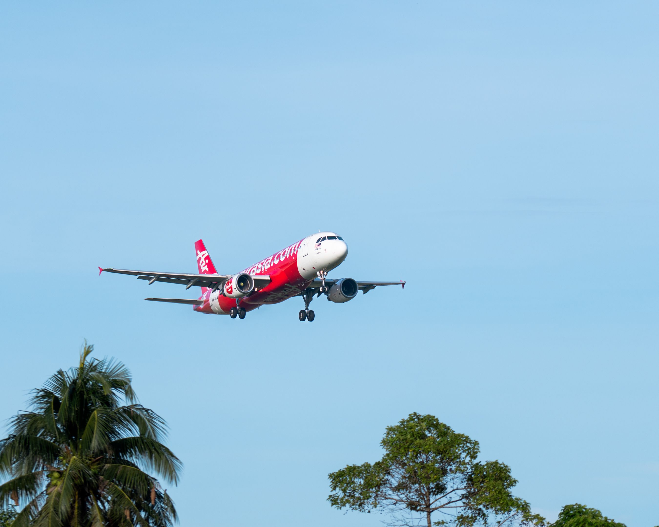 Red Commercial Airplane Landing Over Palm Trees · Free Stock Photo