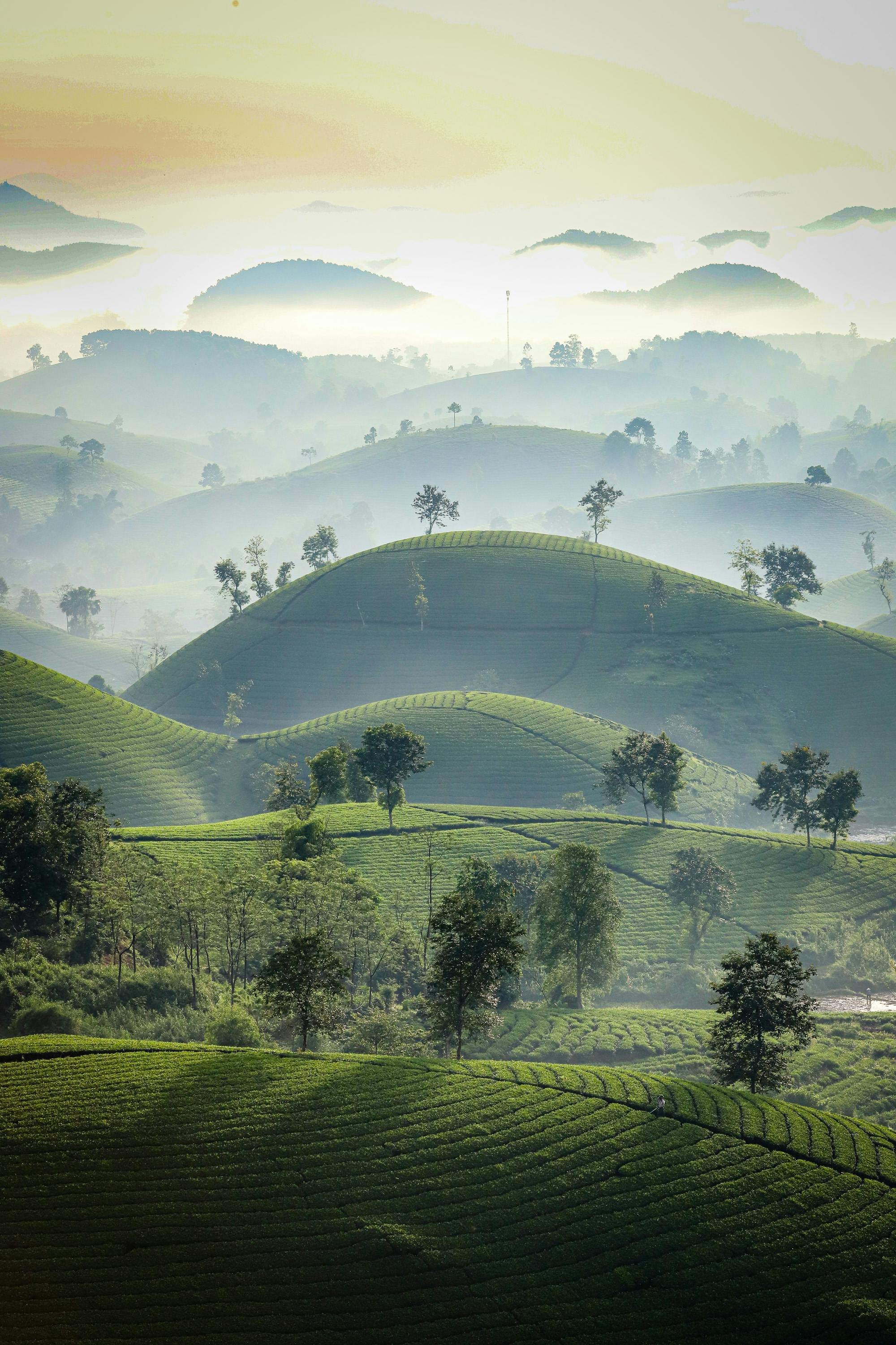 Nature View Photos, Download The BEST Free Nature View Stock Photos ...