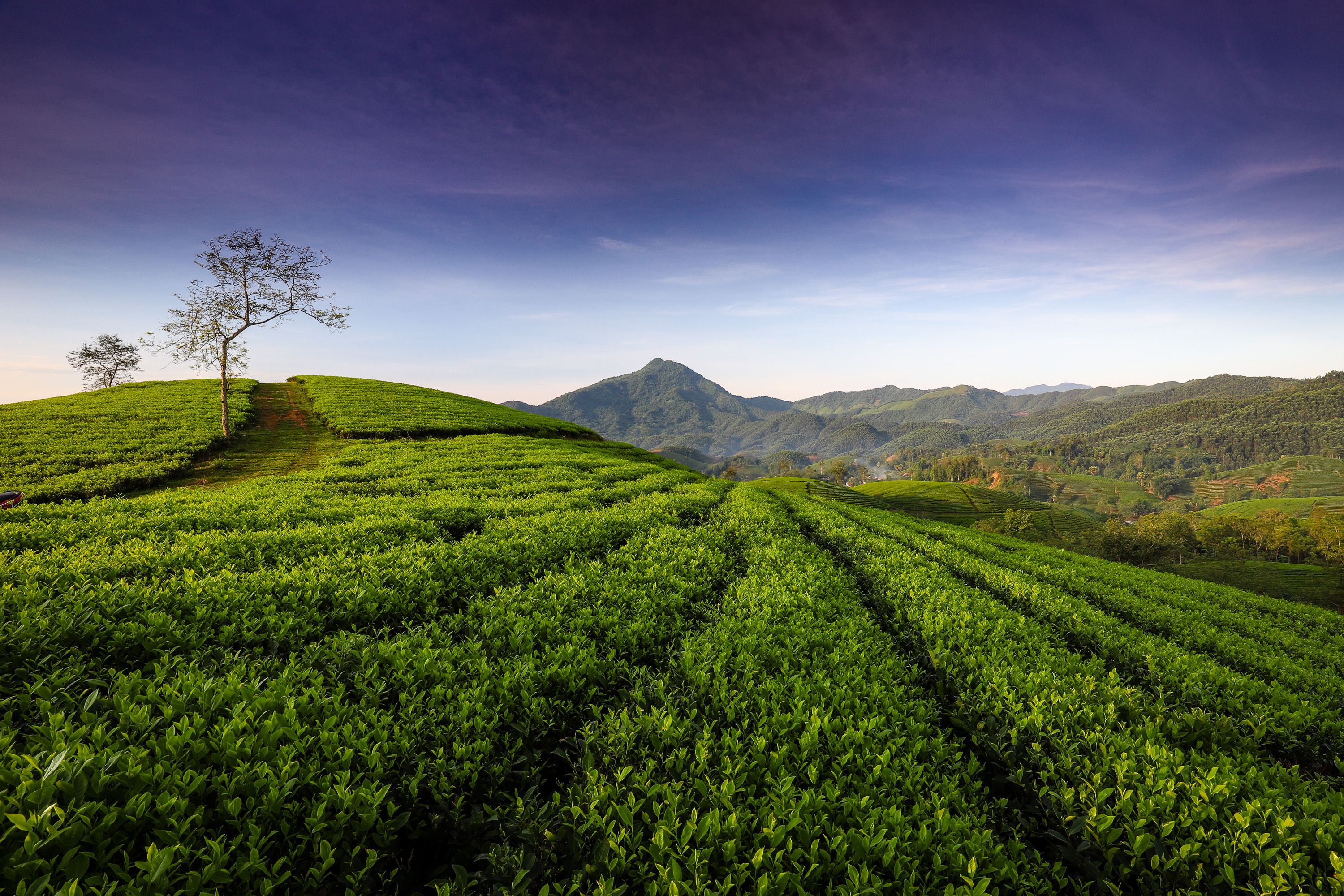 Nature Landscapes Photos, Download The BEST Free Nature Landscapes ...