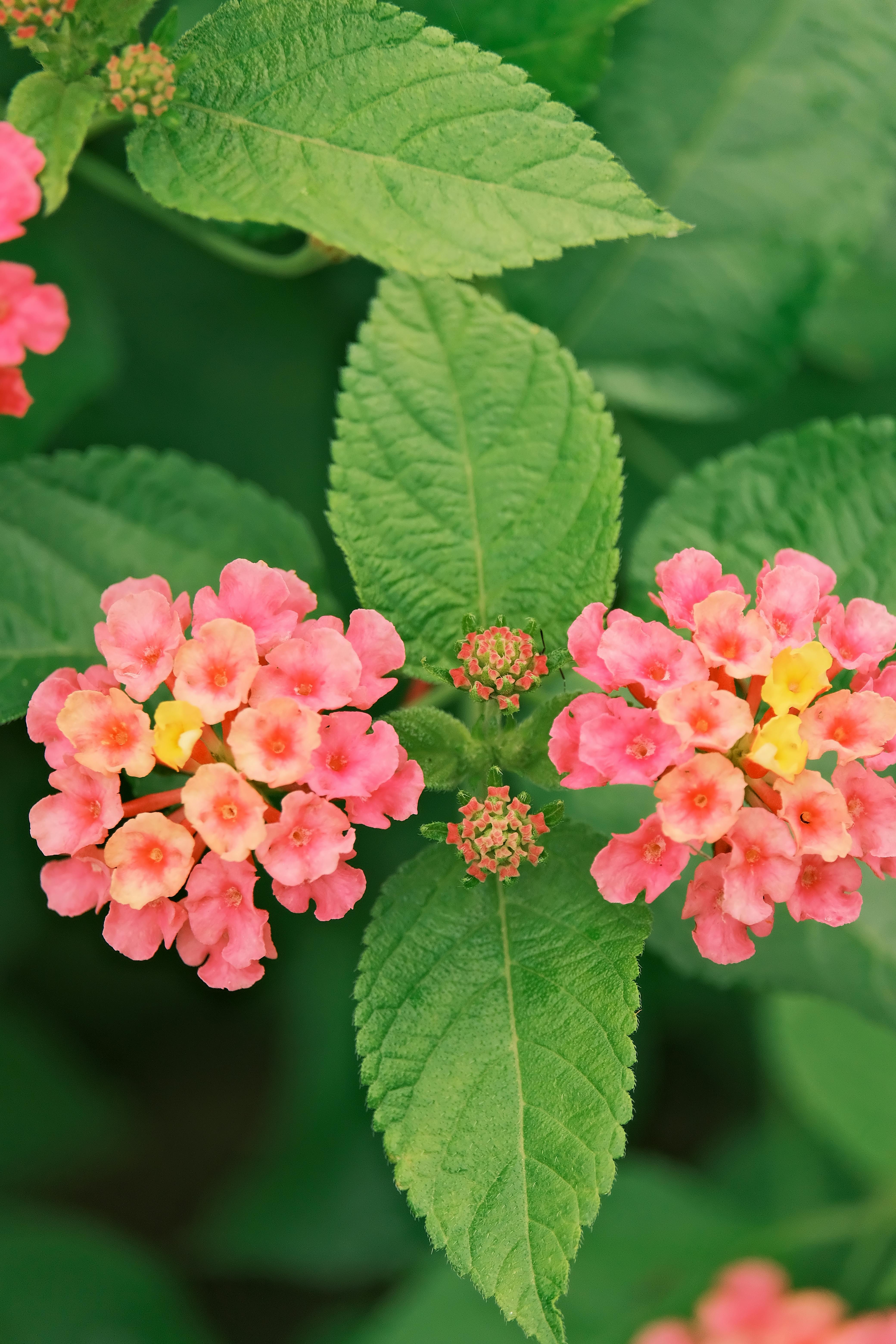 Tarp Background Photos, Download The BEST Free Tarp Background Stock ...