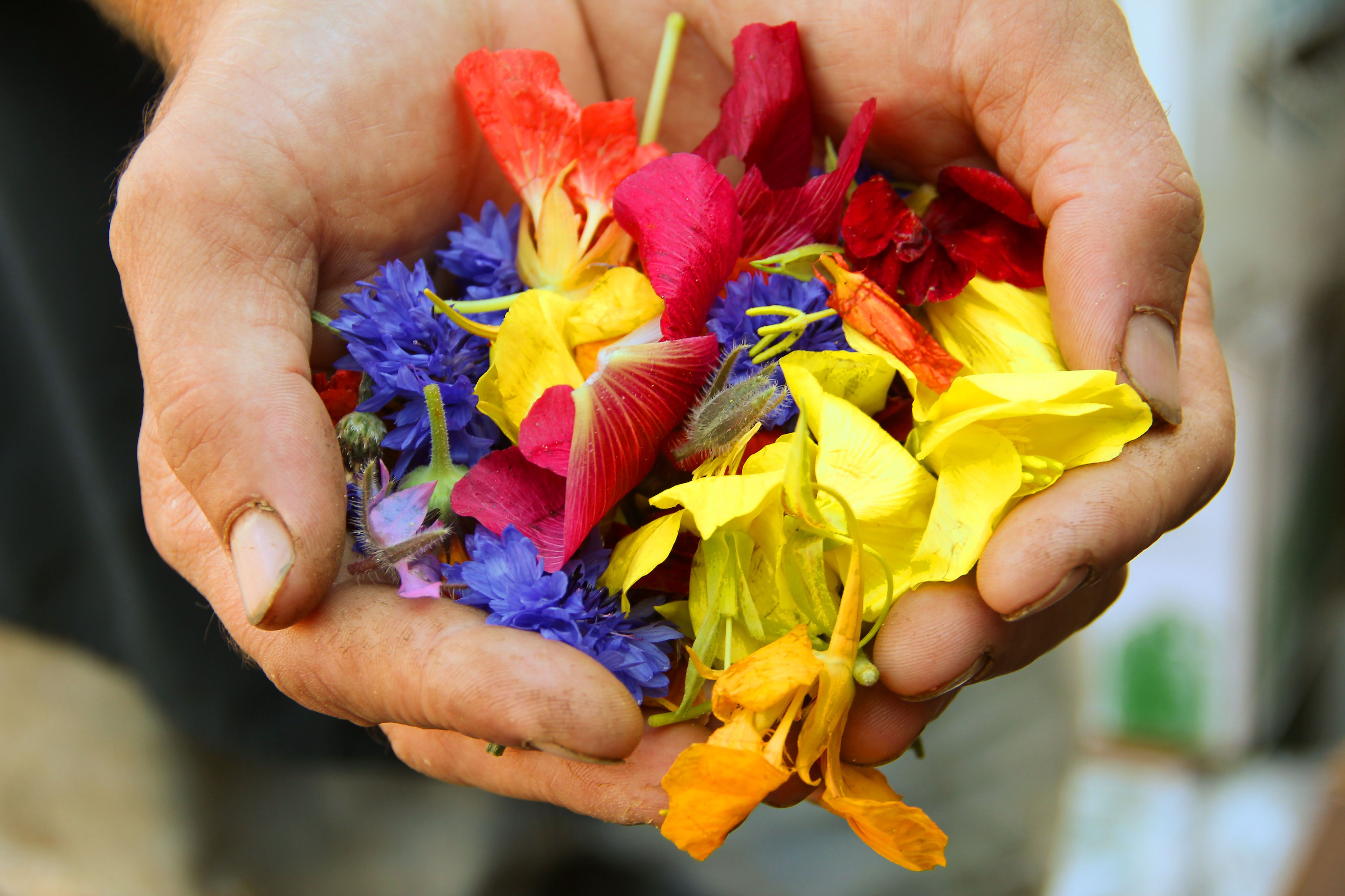 Tithes And Offering Photos, Download The BEST Free Tithes And Offering ...