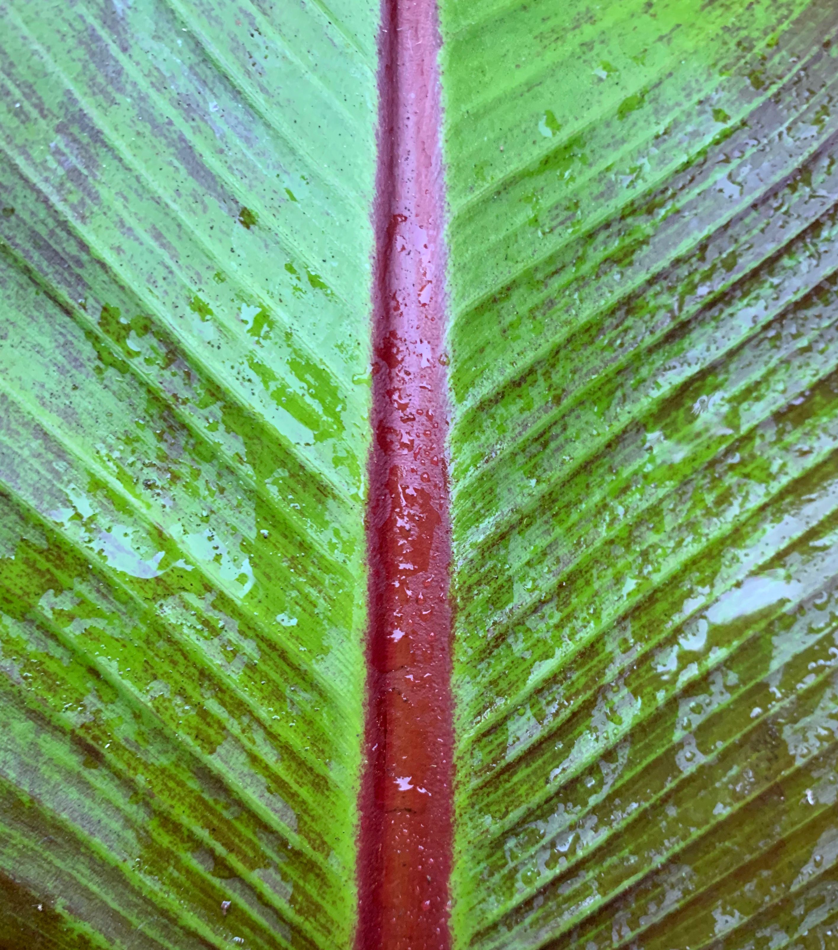 8k Wallpaper Nature Rain Photos, Download The BEST Free 8k Wallpaper ...