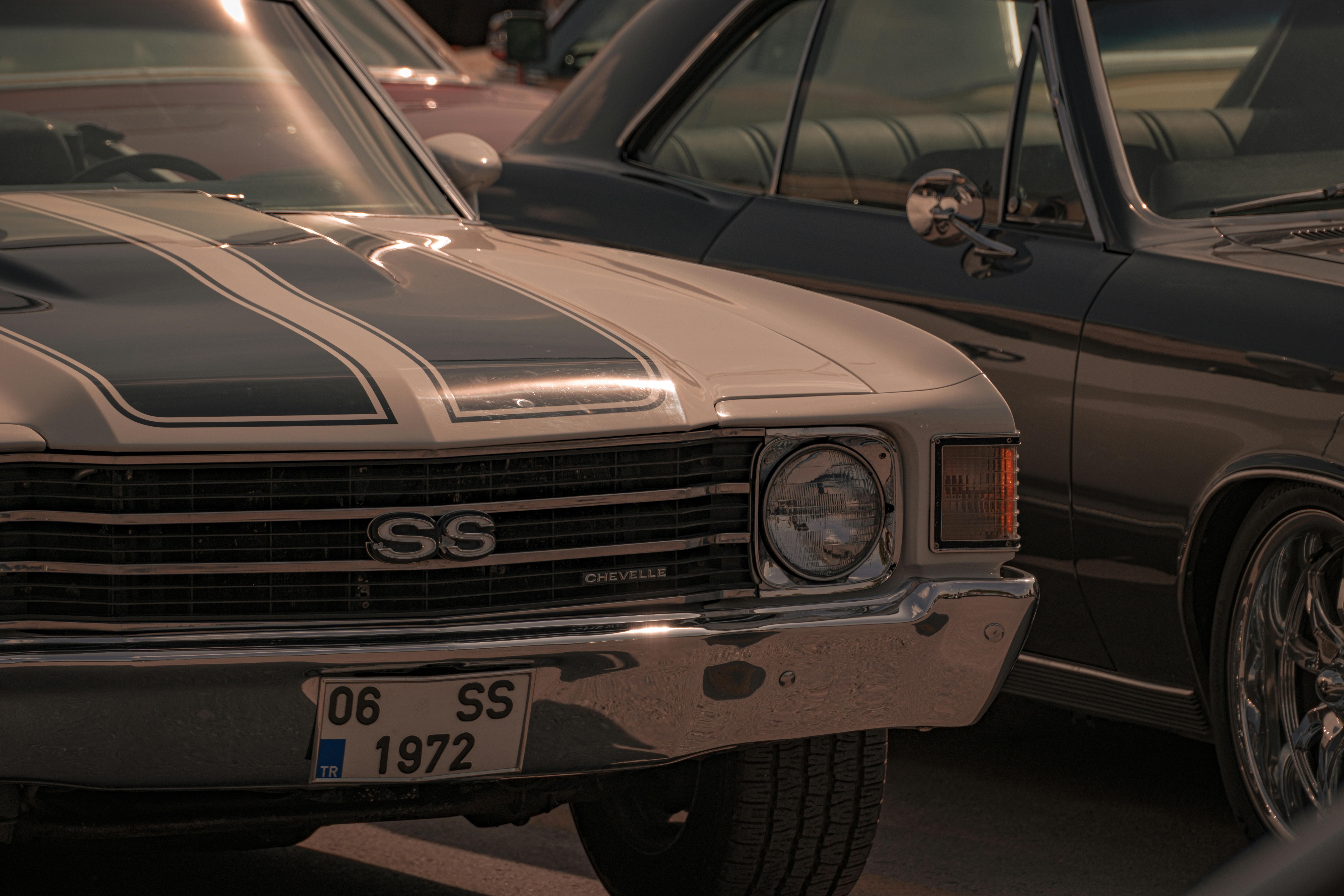 Ss Mila+Imagebam Photos, Download The BEST Free Ss Mila+Imagebam Stock ...