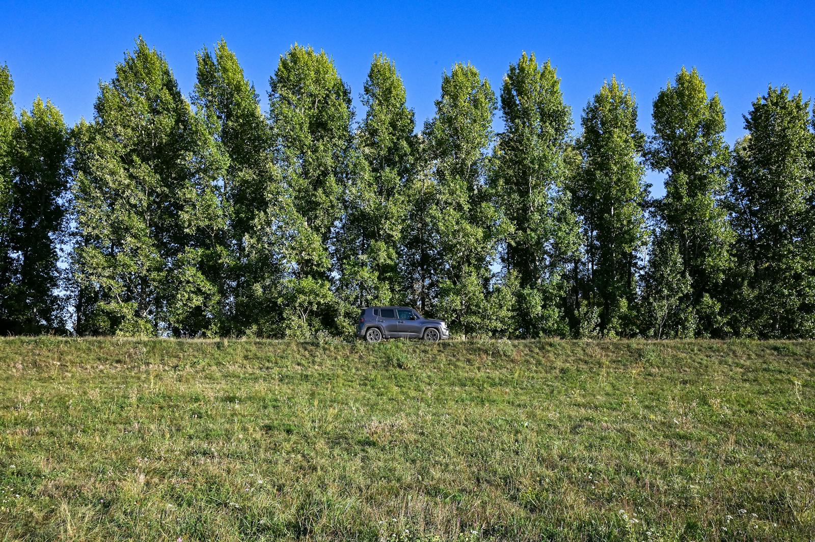 Car Transparent Background Photos, Download The BEST Free Car ...