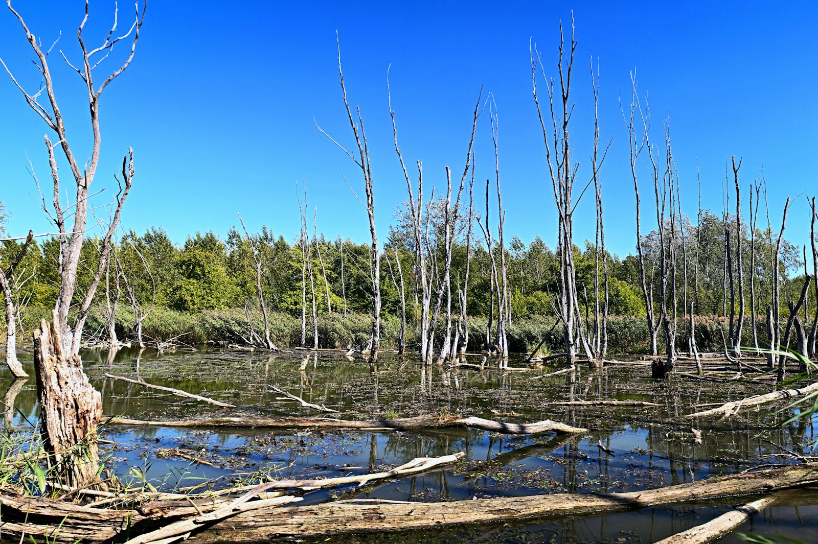 Bare Bosom Photos, Download The BEST Free Bare Bosom Stock Photos & HD ...