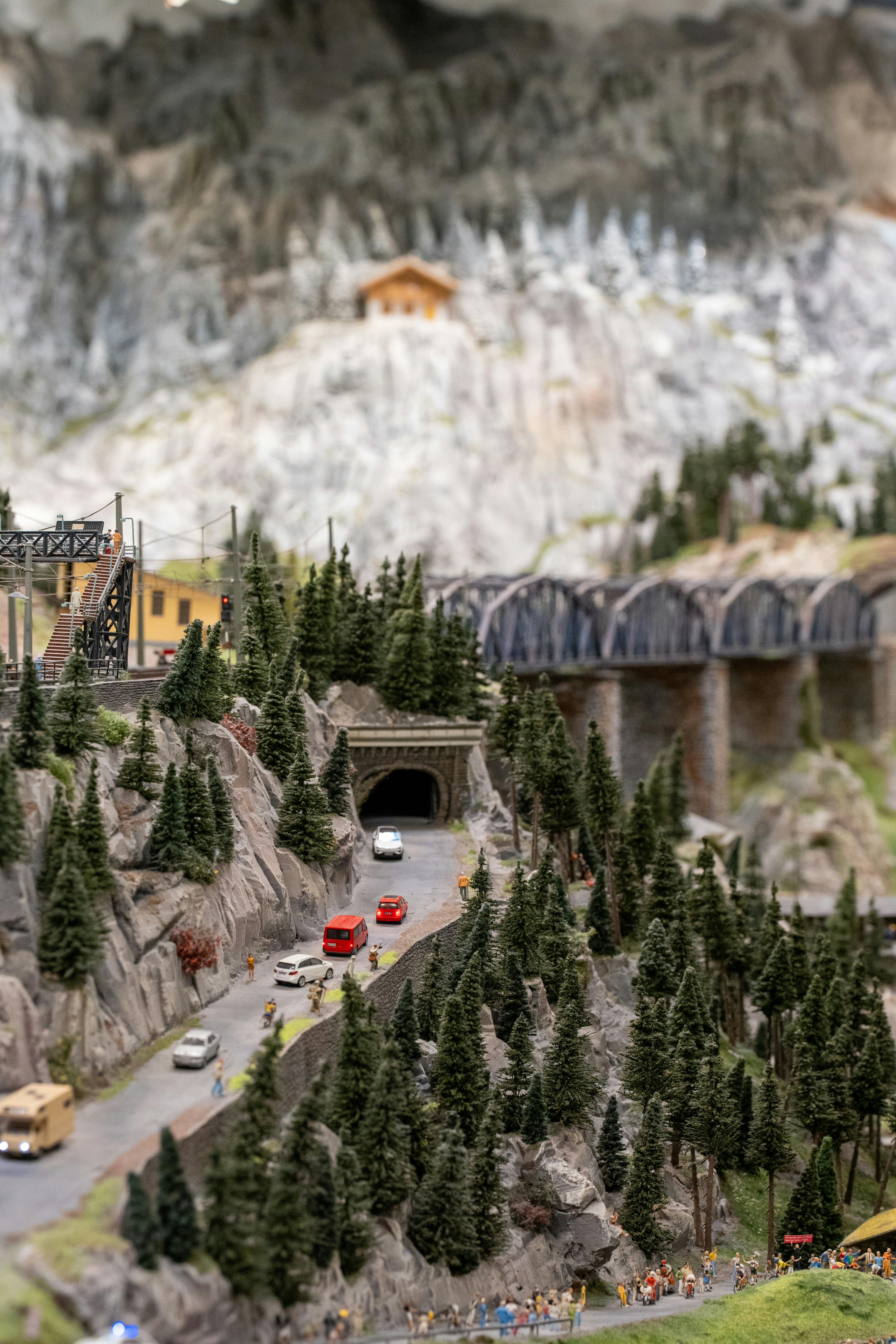 Nature Realistic Photos, Download The BEST Free Nature Realistic Stock ...