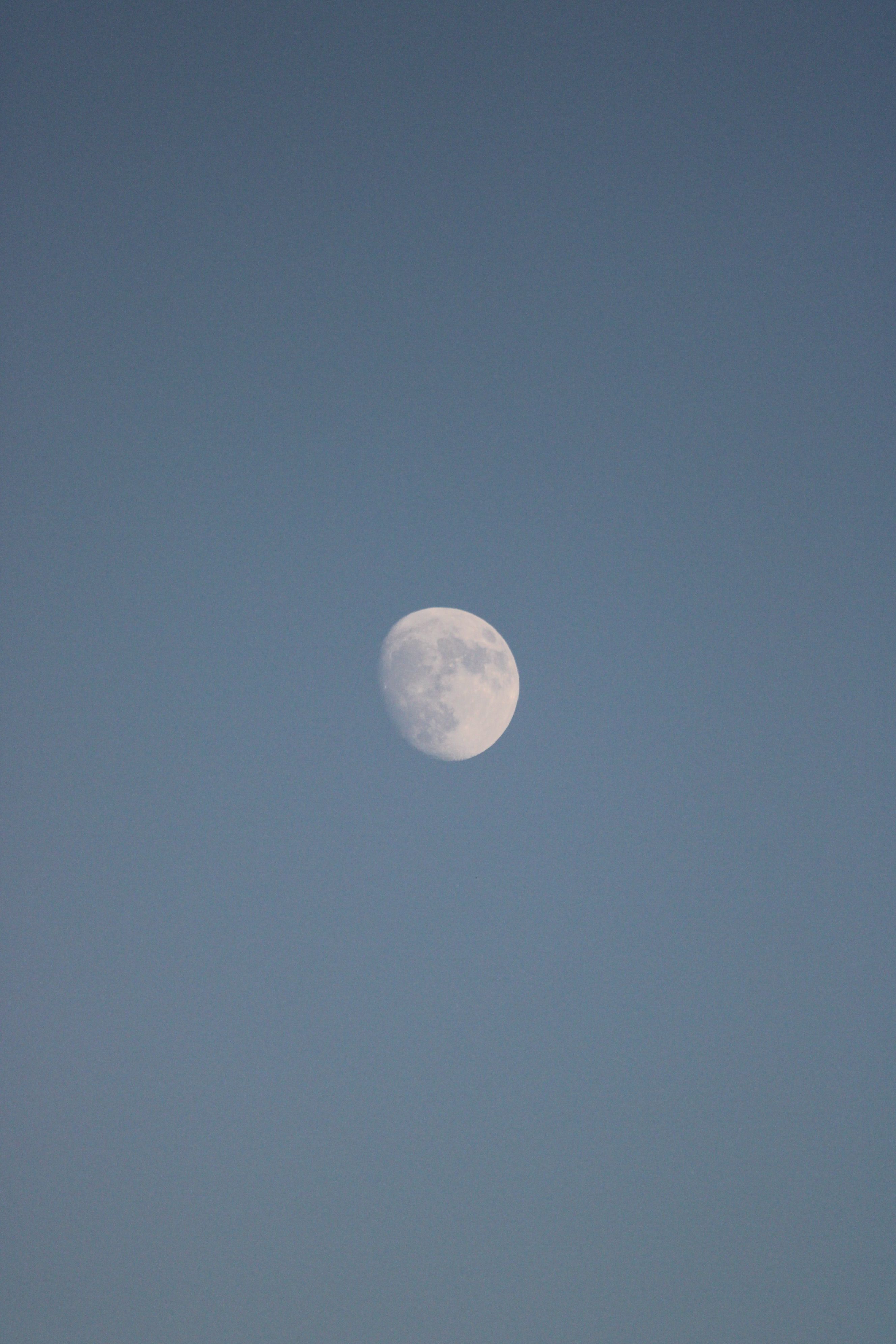 Serene Moon in Clear Blue Sky · Free Stock Photo