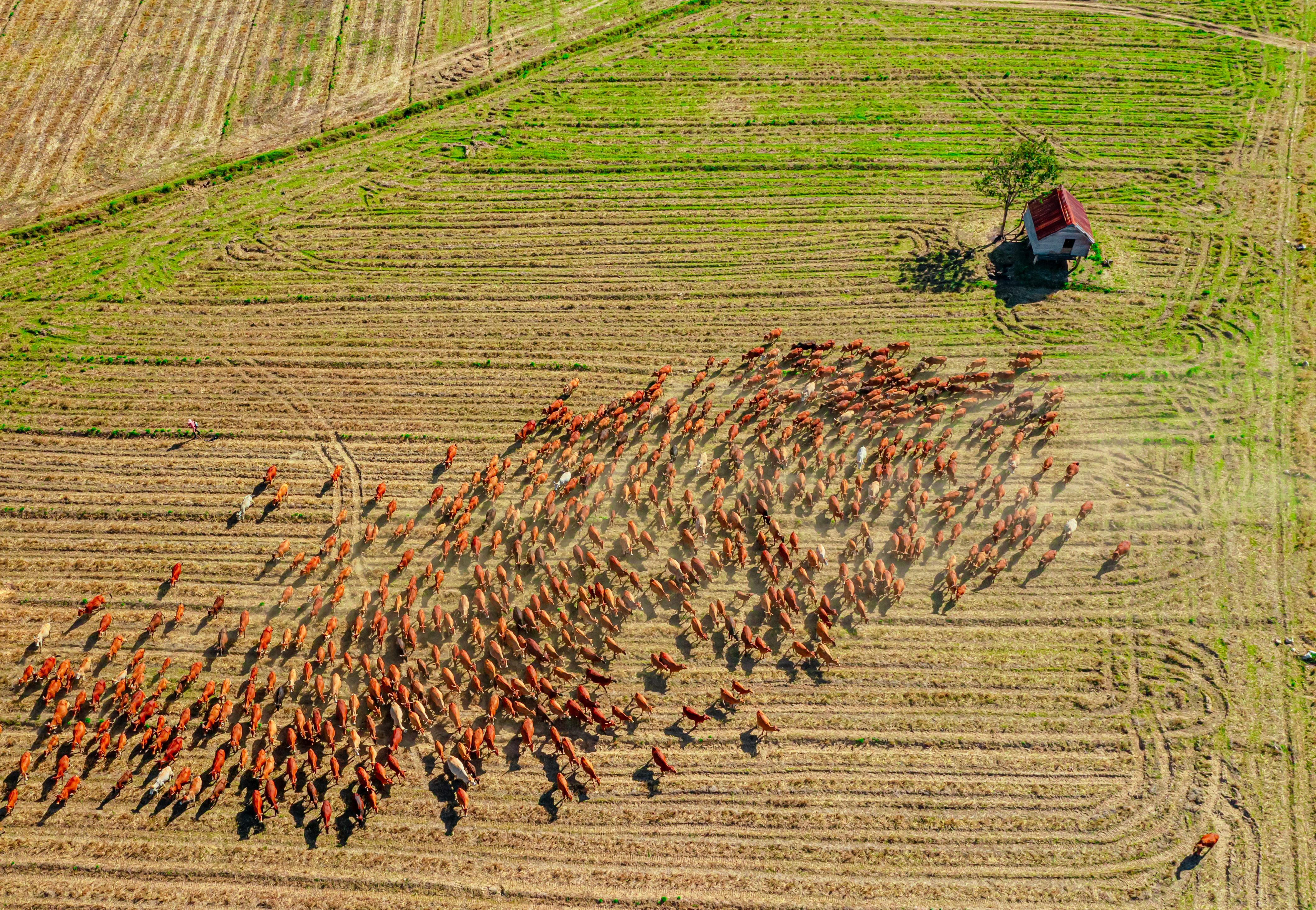 Ash+Kash+Takes+Back+Shots Photos, Download The BEST Free Ash+Kash+Takes ...