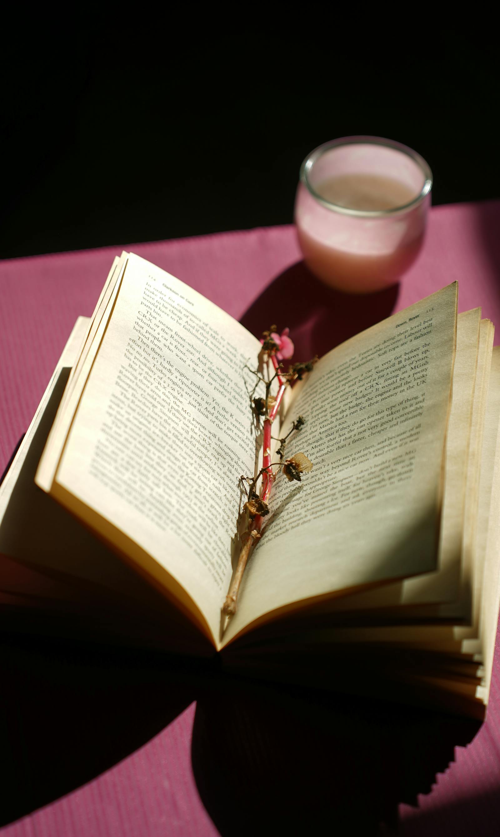 Reading Aesthetic Photos, Download The BEST Free Reading Aesthetic ...