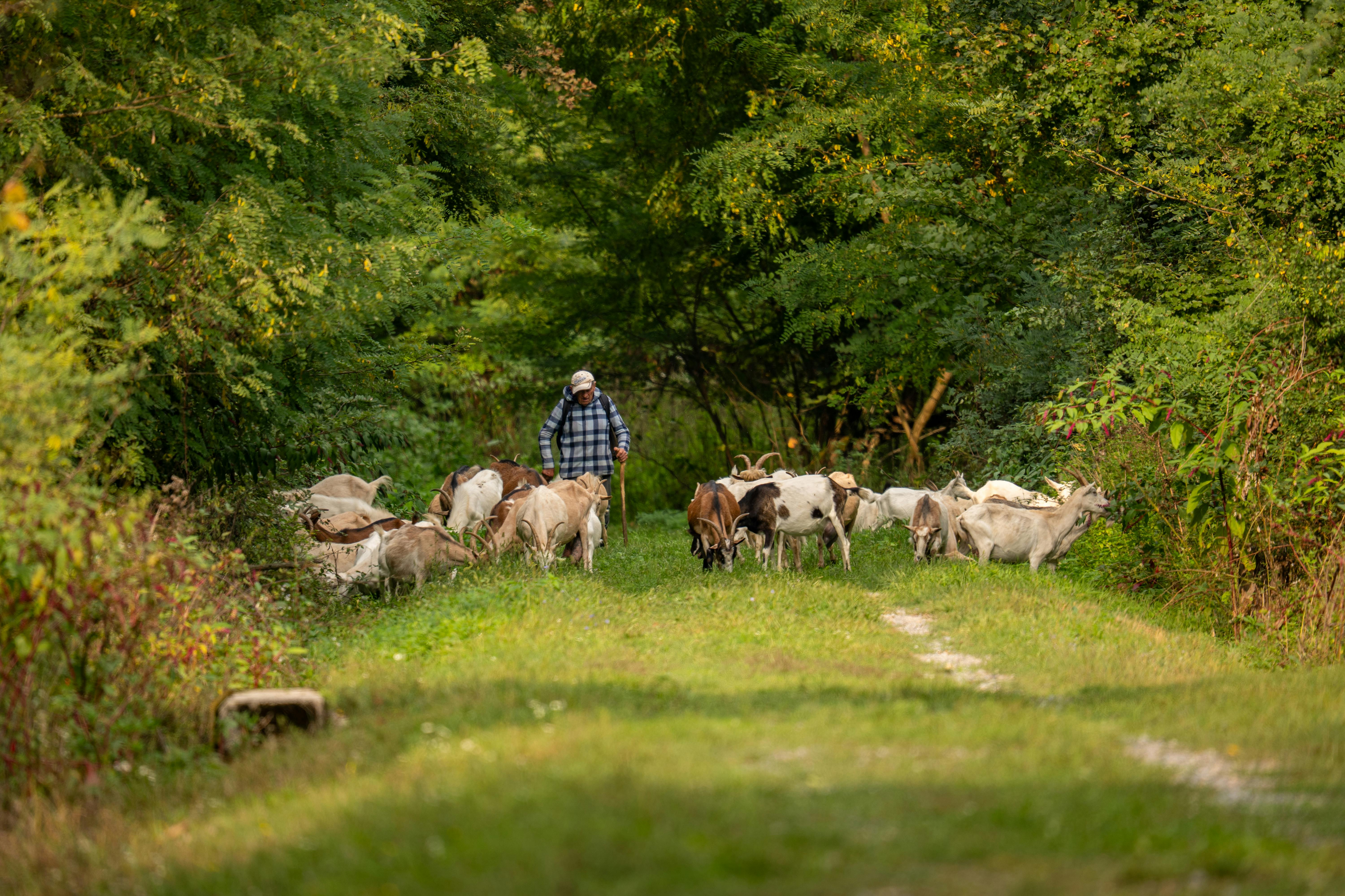 Adventerous People Photos, Download The BEST Free Adventerous People ...