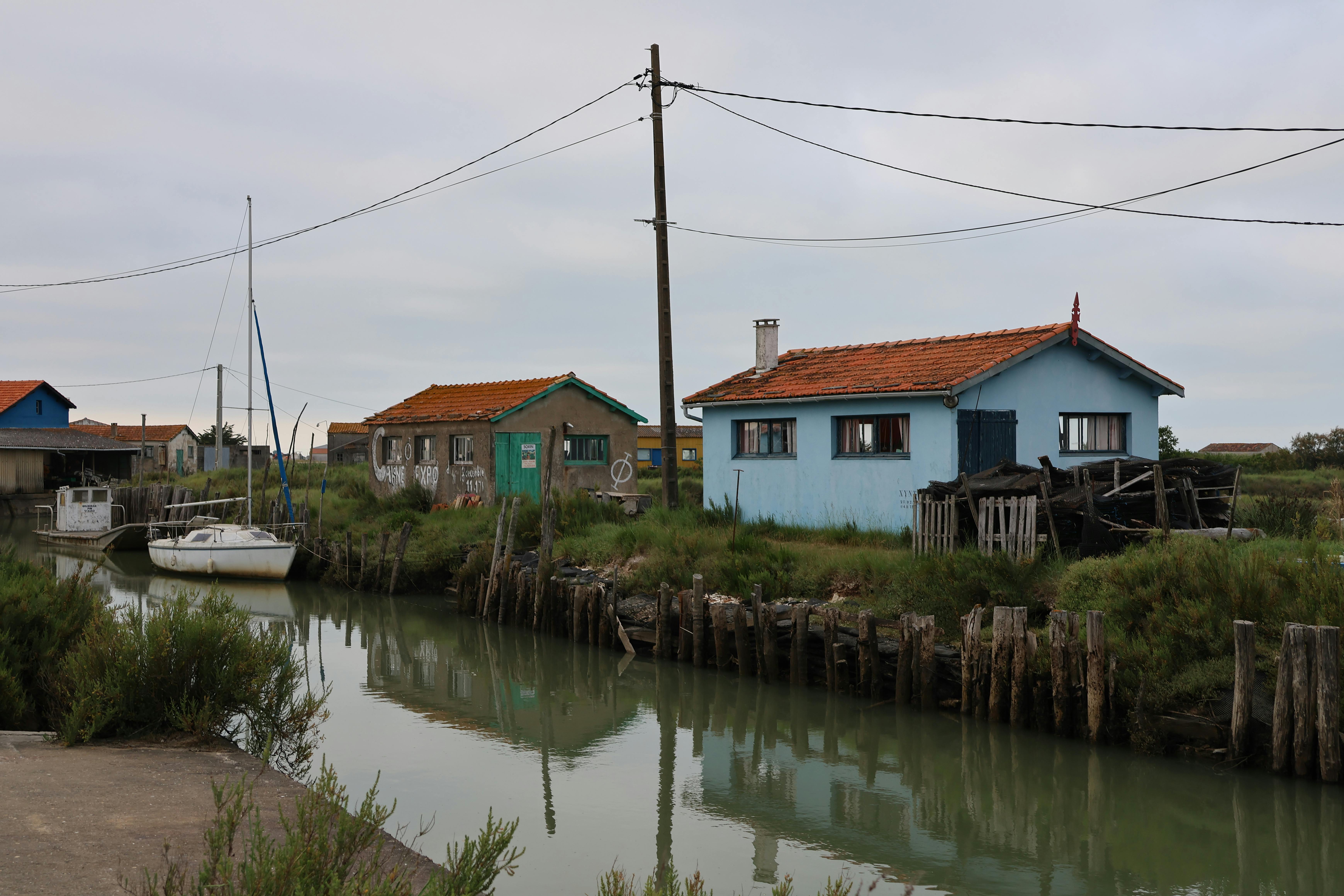 Candydoll+Tamaraa+Telegraph Photos, Download The BEST Free Candydoll ...