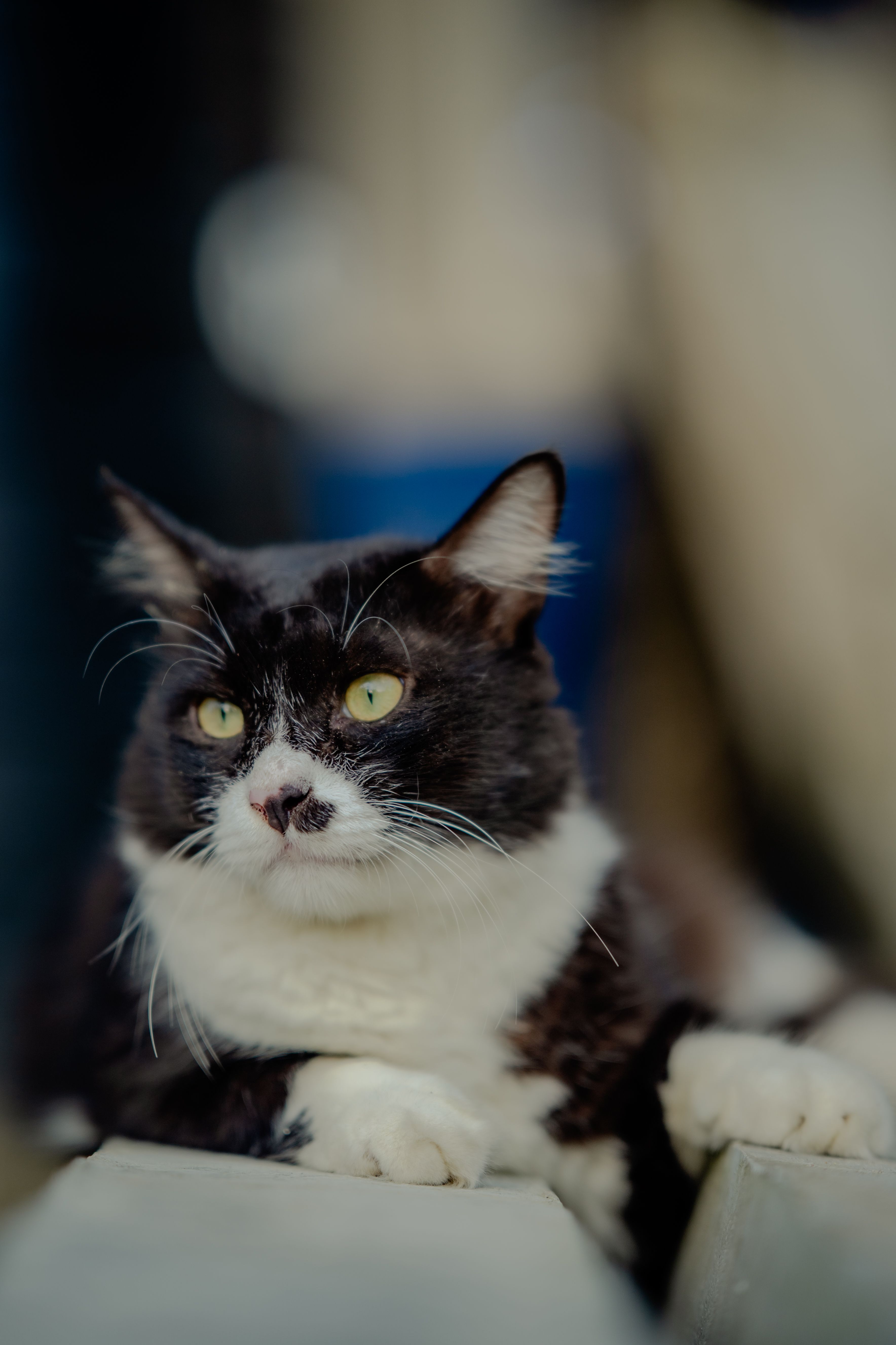 General Photos, Download The BEST Free General Stock Photos & HD Images