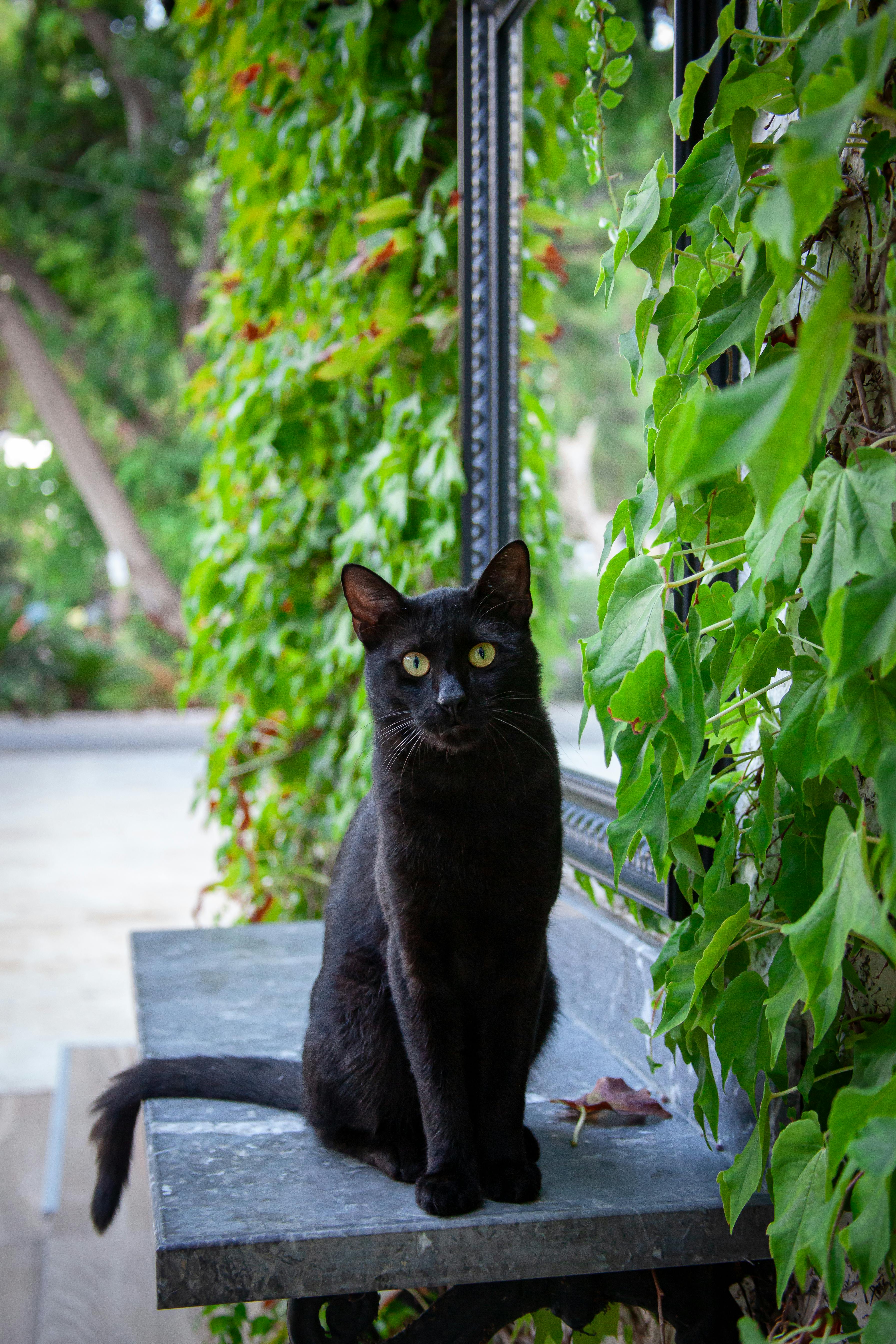 Photos Of Kindness Photos, Download The BEST Free Photos Of Kindness ...