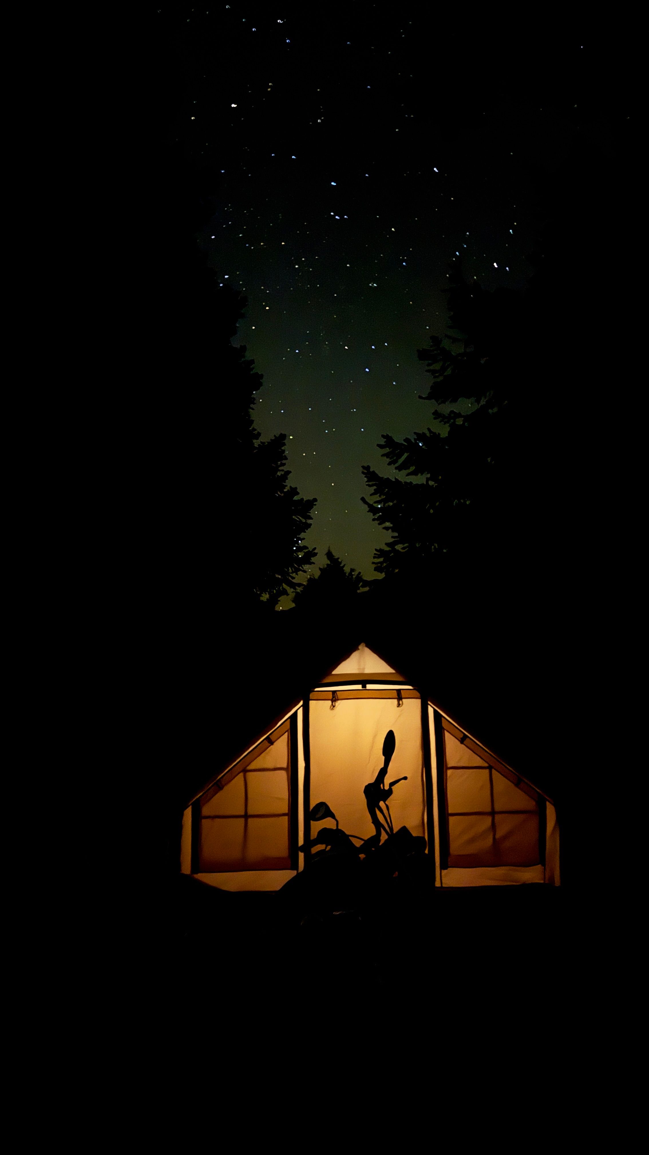 Cozy Stars Photos, Download The BEST Free Cozy Stars Stock Photos & HD ...