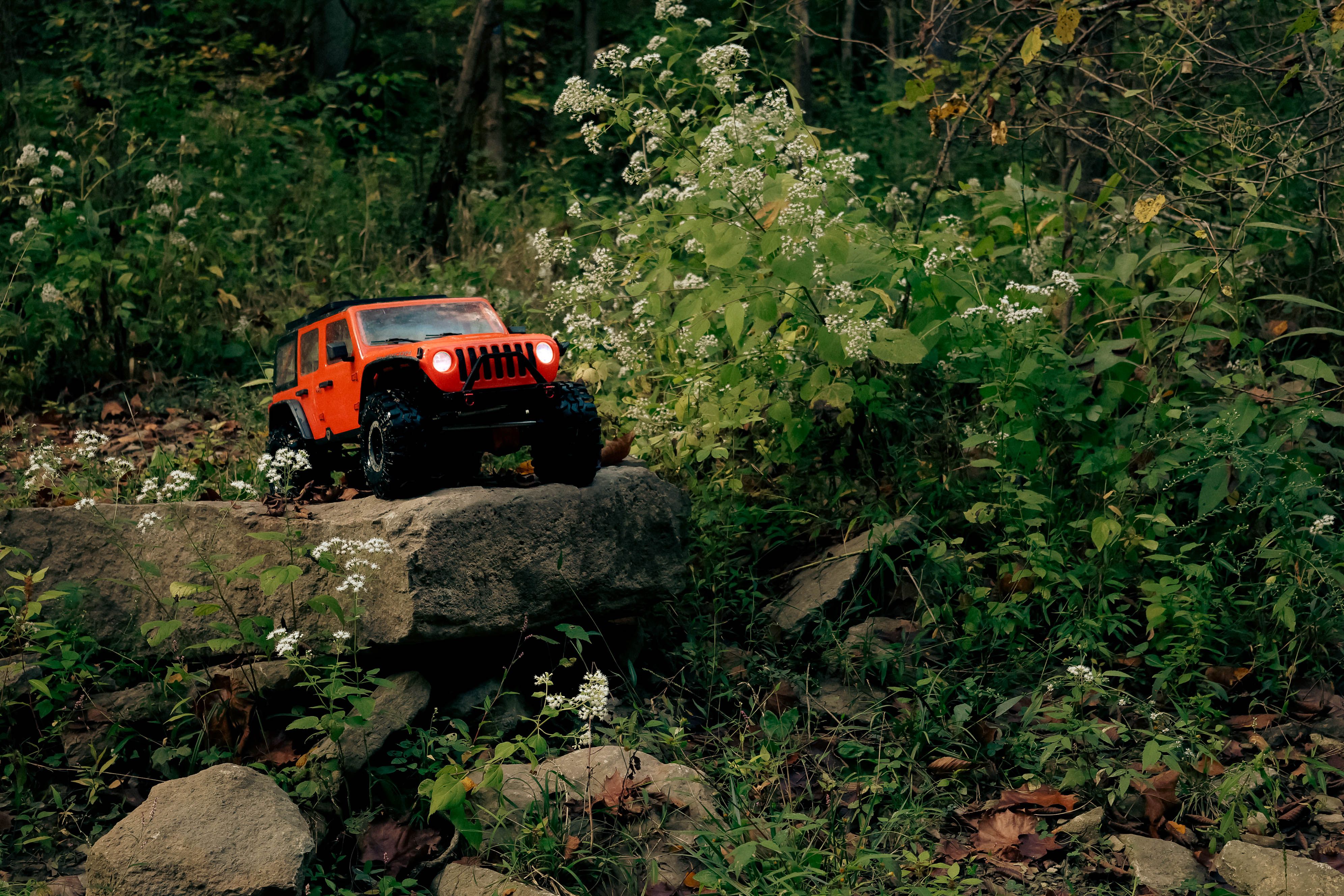 Orange Off-Road Toy Car in Forest Setting · Free Stock Photo