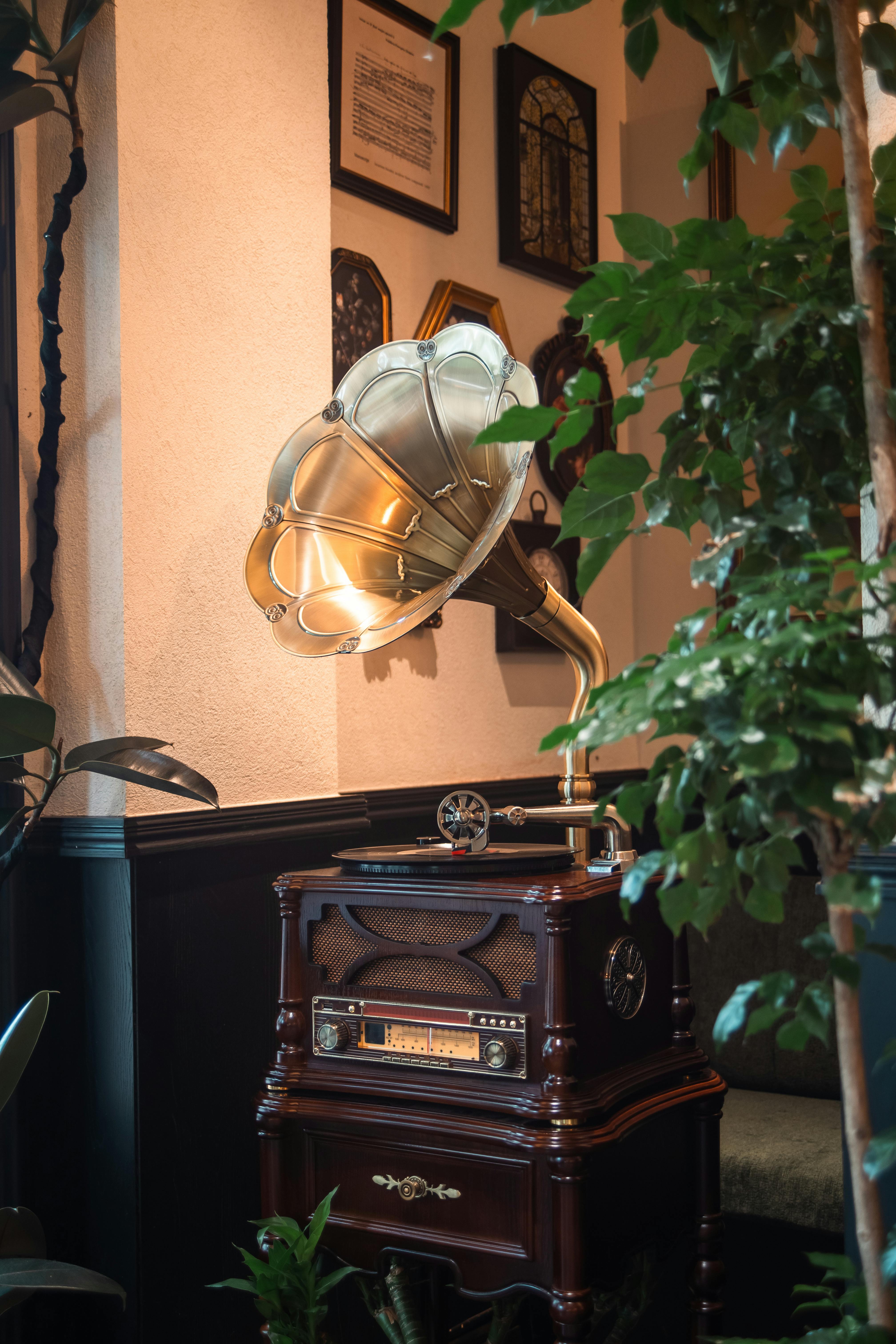 舒适的室内装饰着华丽的铜喇叭的老式留声机 · 免费素材图片
