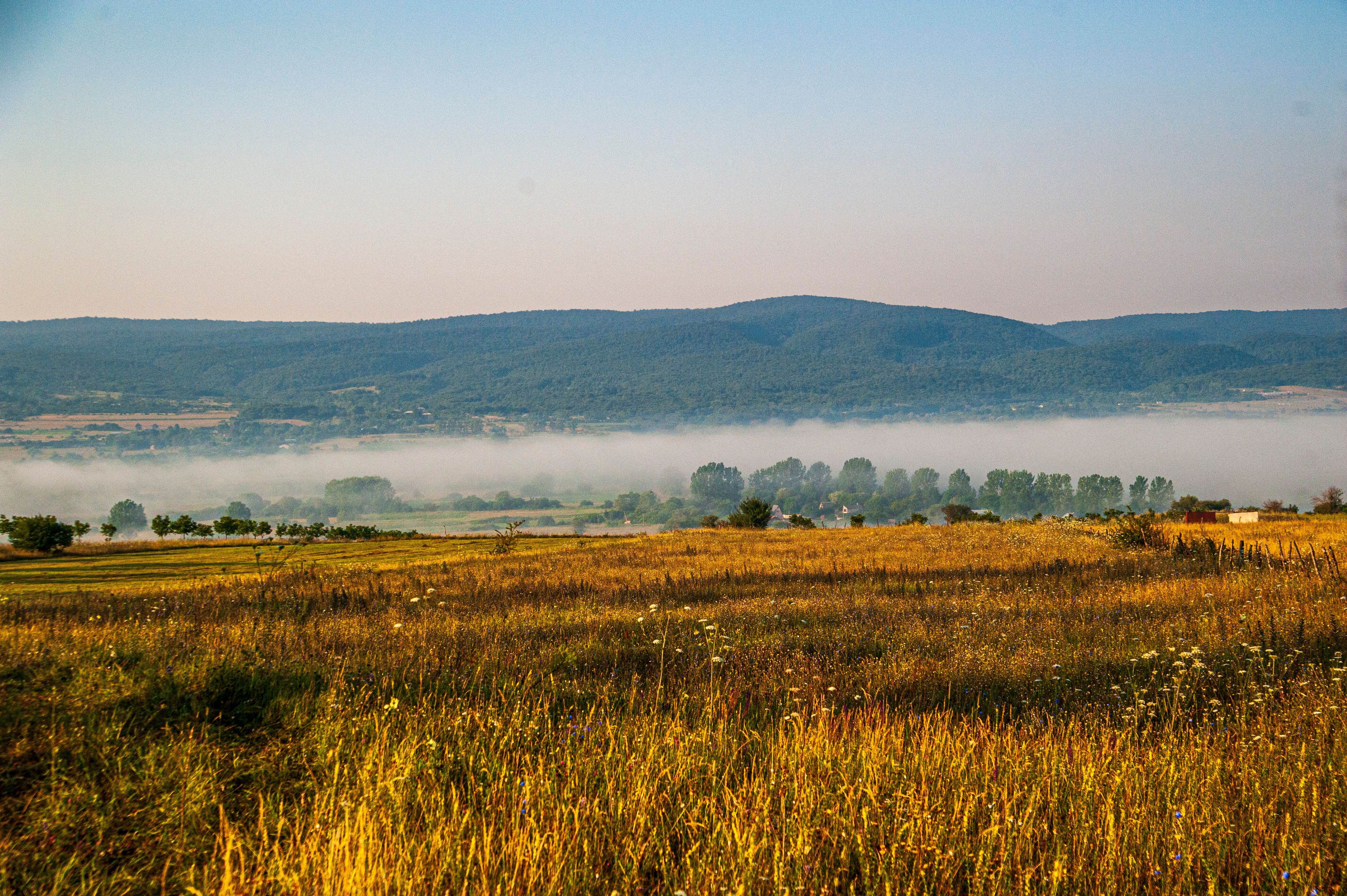 Scenic Georgian Landscape with Misty Hills · Free Stock Photo