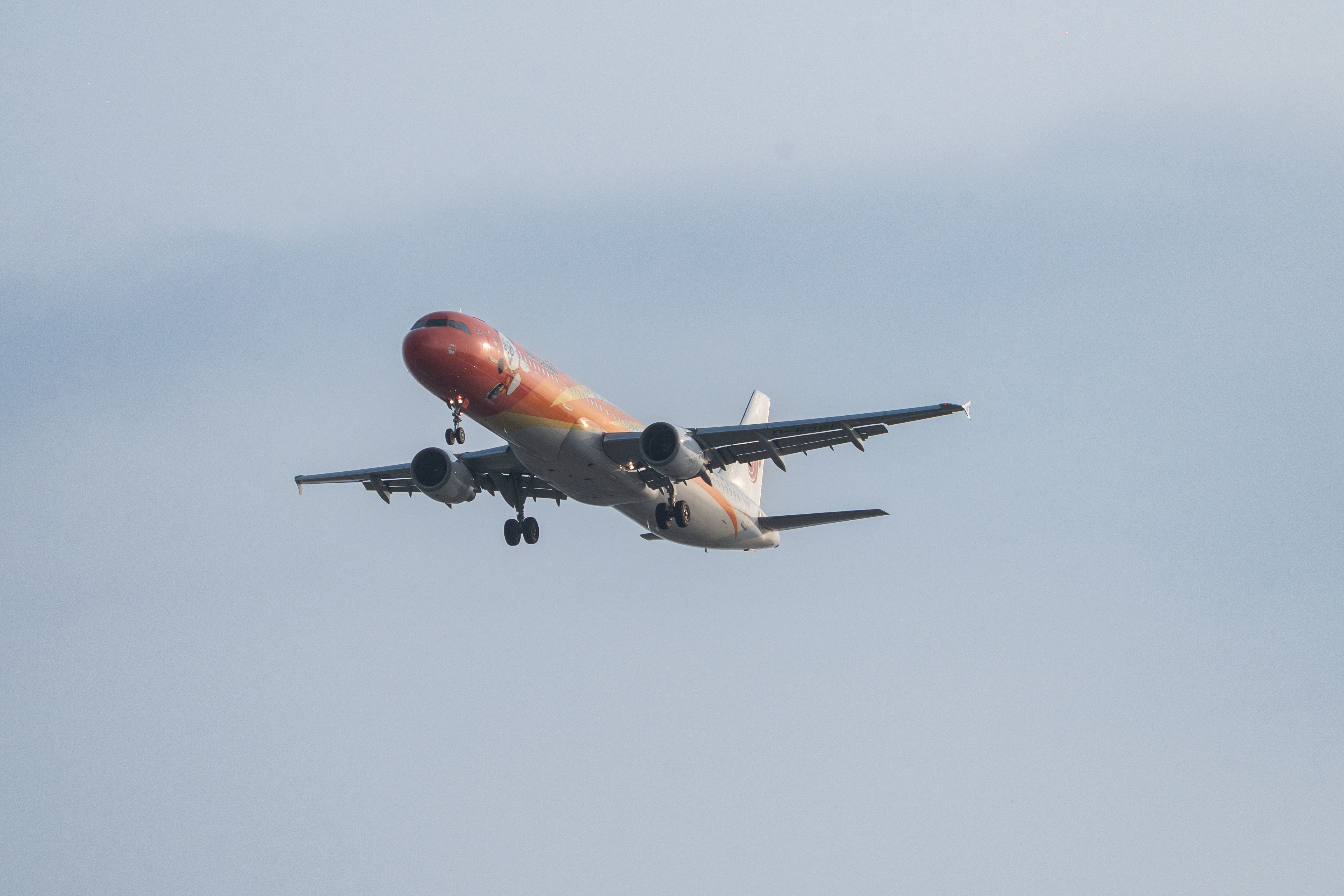 Commercial Airplane Mid-Flight Against Blue Sky · Free Stock Photo