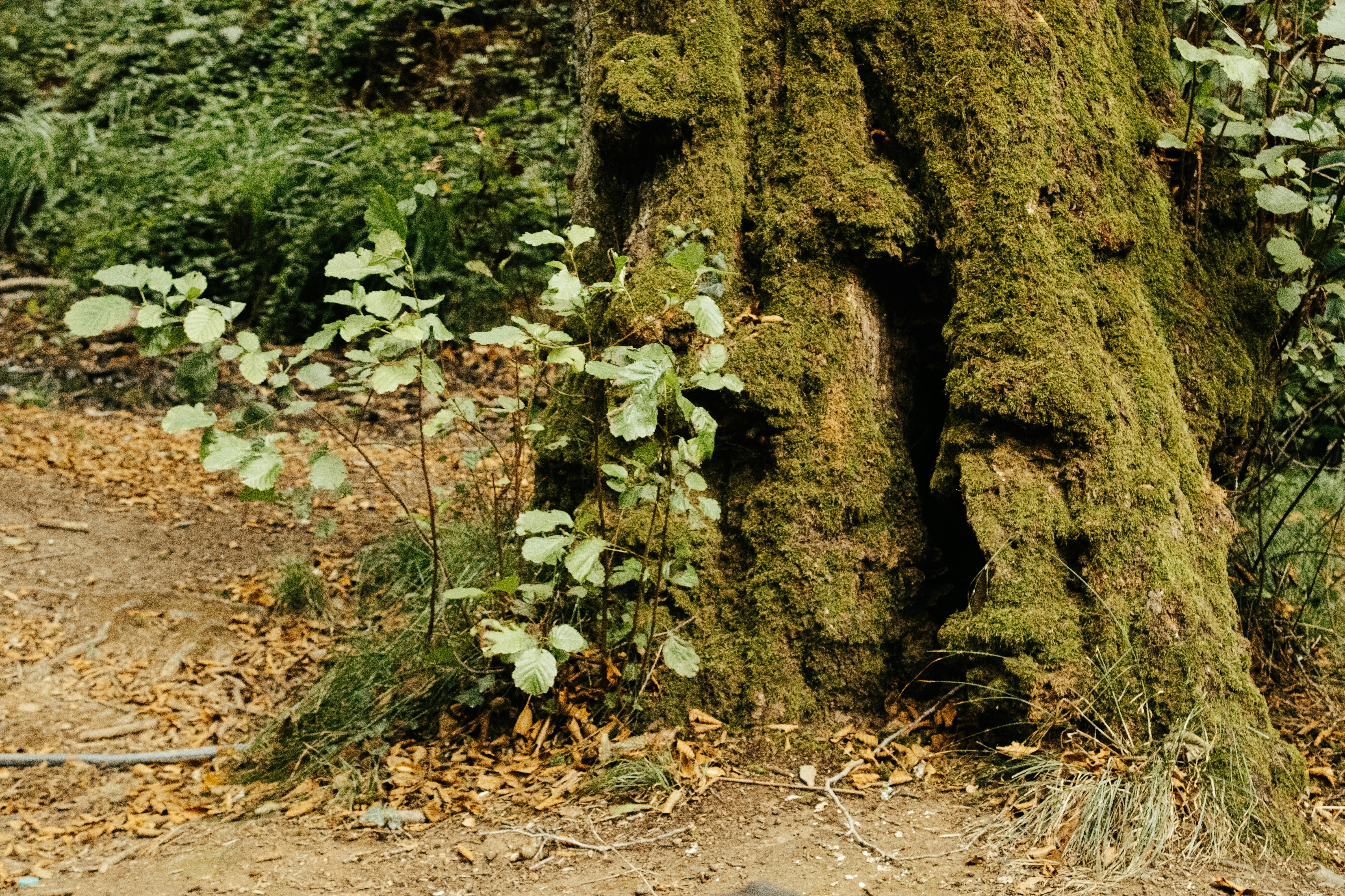 Square Root 123 Photos, Download The BEST Free Square Root 123 Stock ...