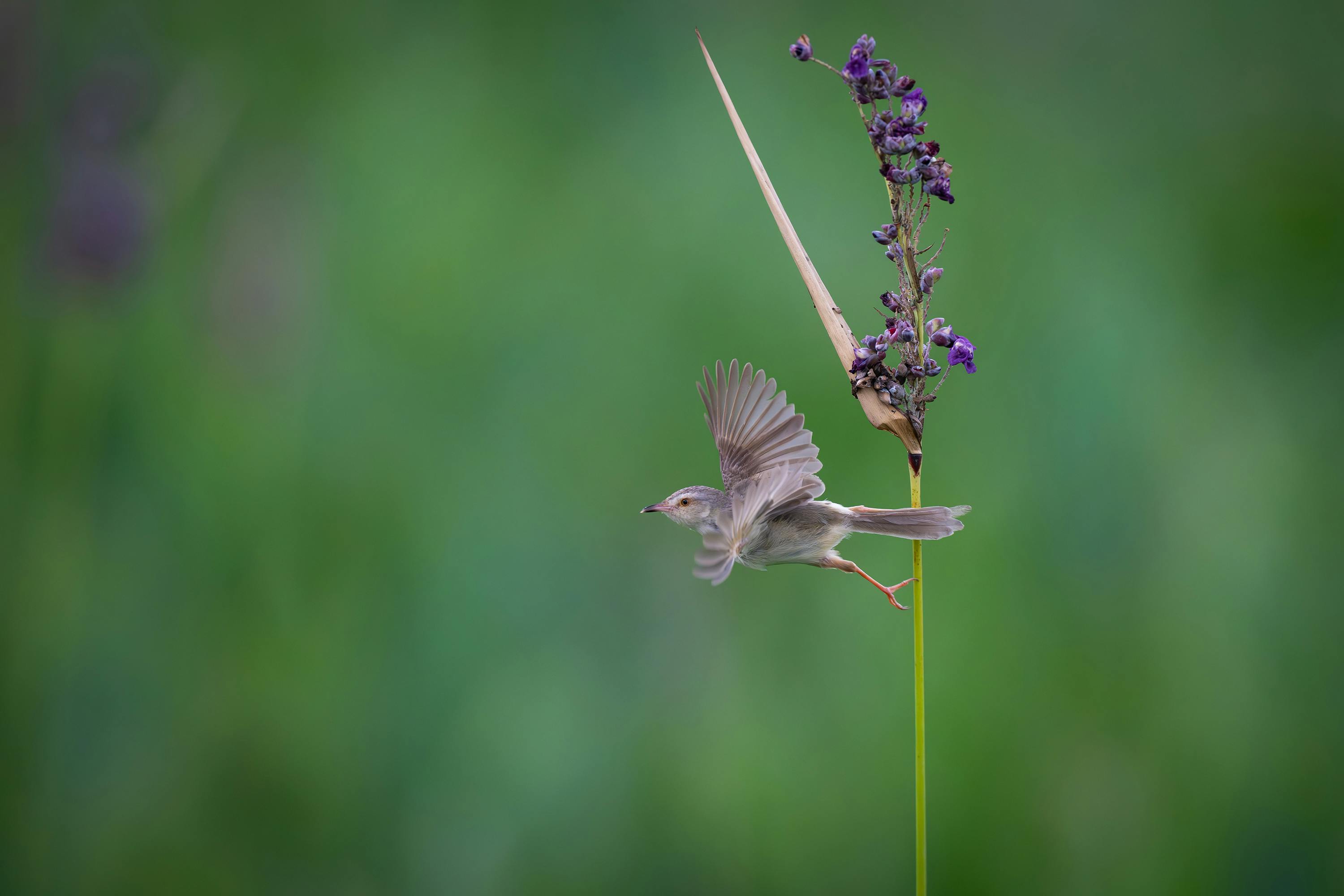 Free Screensavers Photos, Download The BEST Free Free Screensavers ...