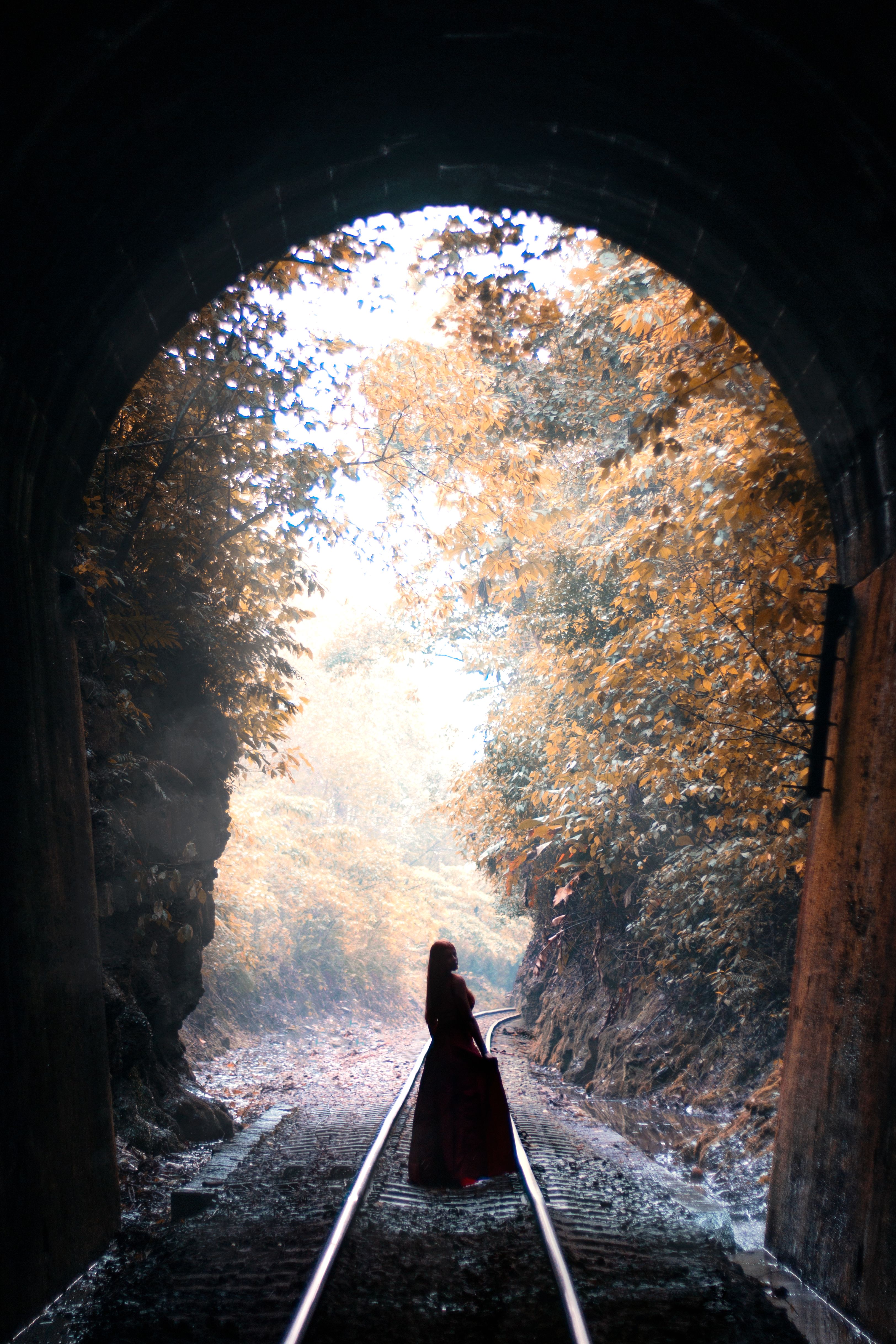 Woman on Fence near Waterfalls · Free Stock Photo