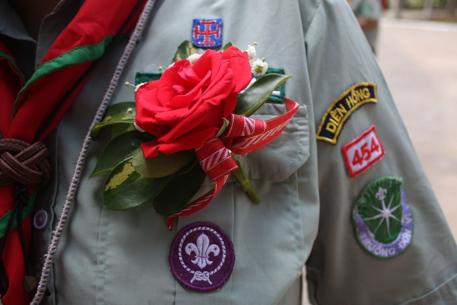 Scout Photos, Download The BEST Free Scout Stock Photos & HD Images