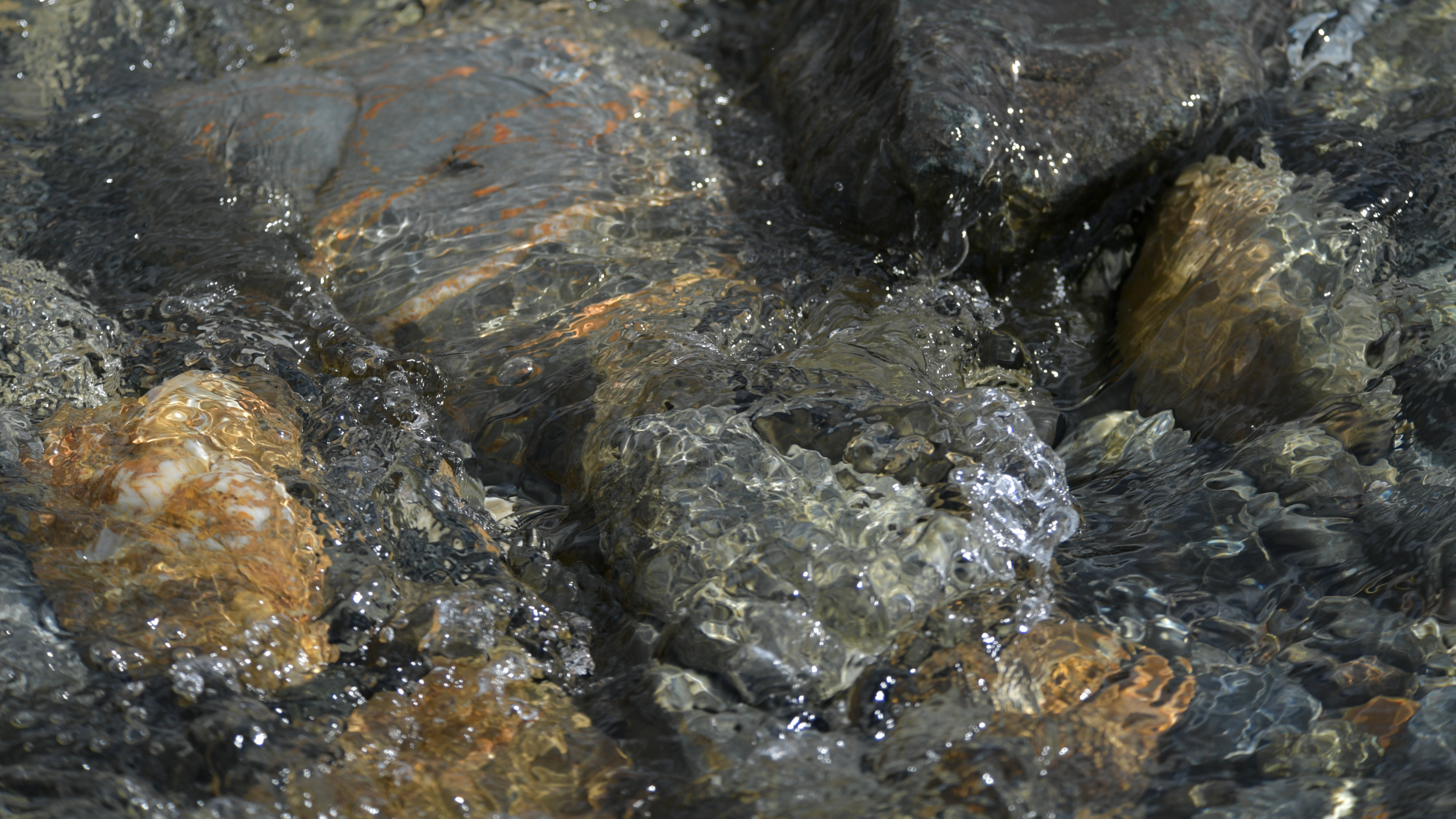 Natural Flowing Water Over Rocks in Stream · Free Stock Photo