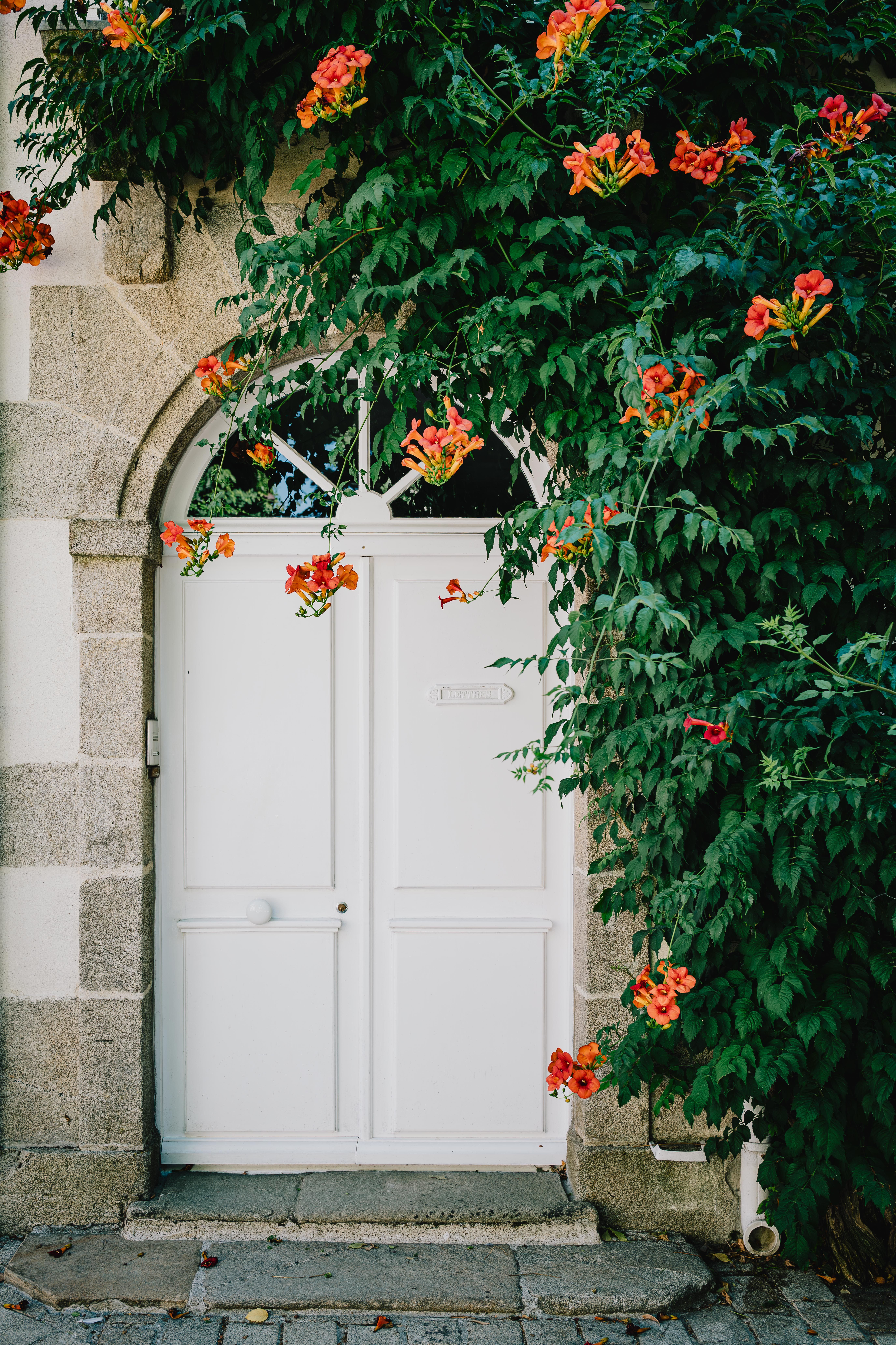 Cartoon Door Photos, Download The BEST Free Cartoon Door Stock Photos ...