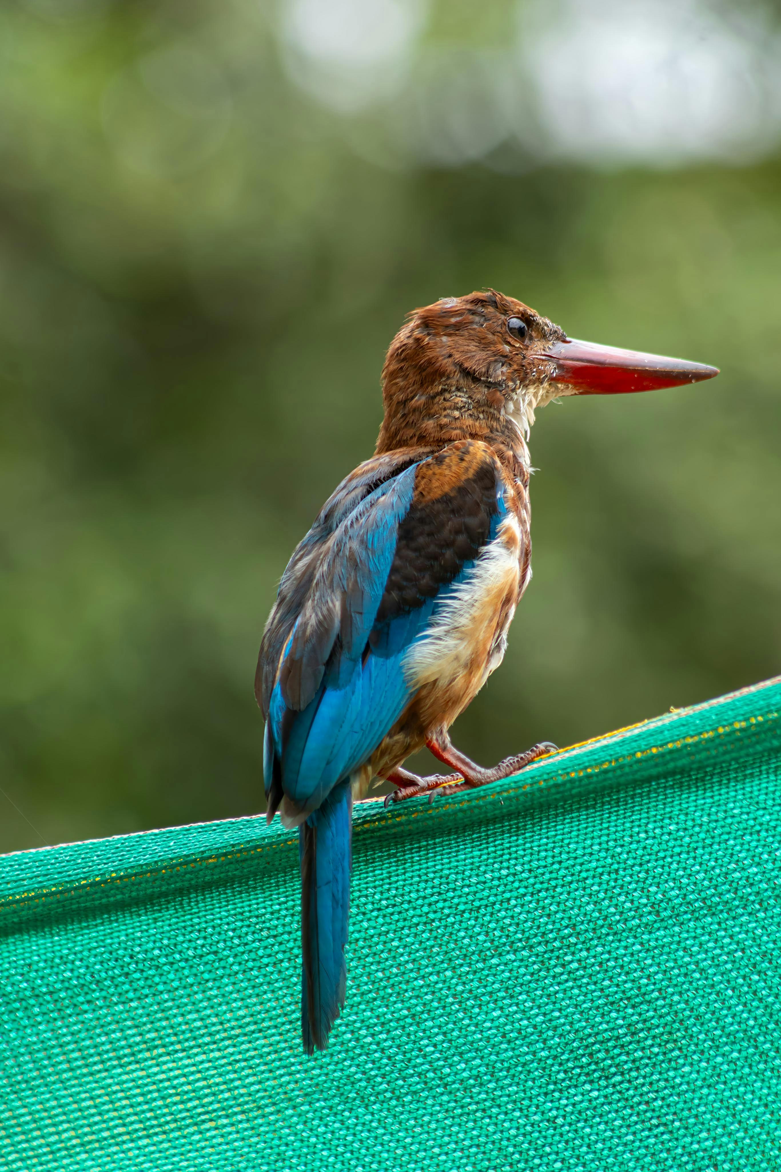 Tuff+Profile+Pics Photos, Download The BEST Free Tuff+Profile+Pics ...