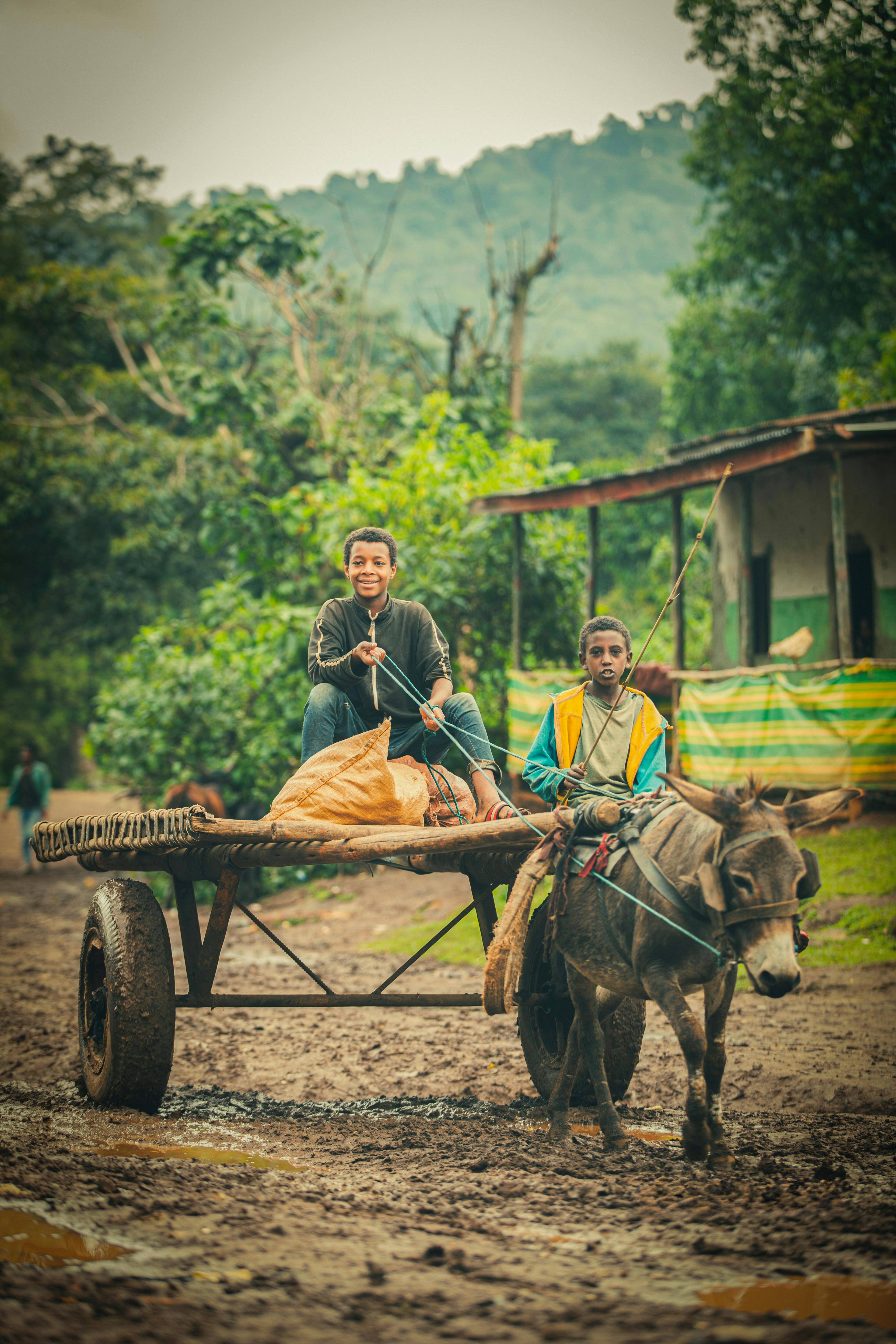 Pickleball Field Photos, Download The BEST Free Pickleball Field Stock Photos & HD Images