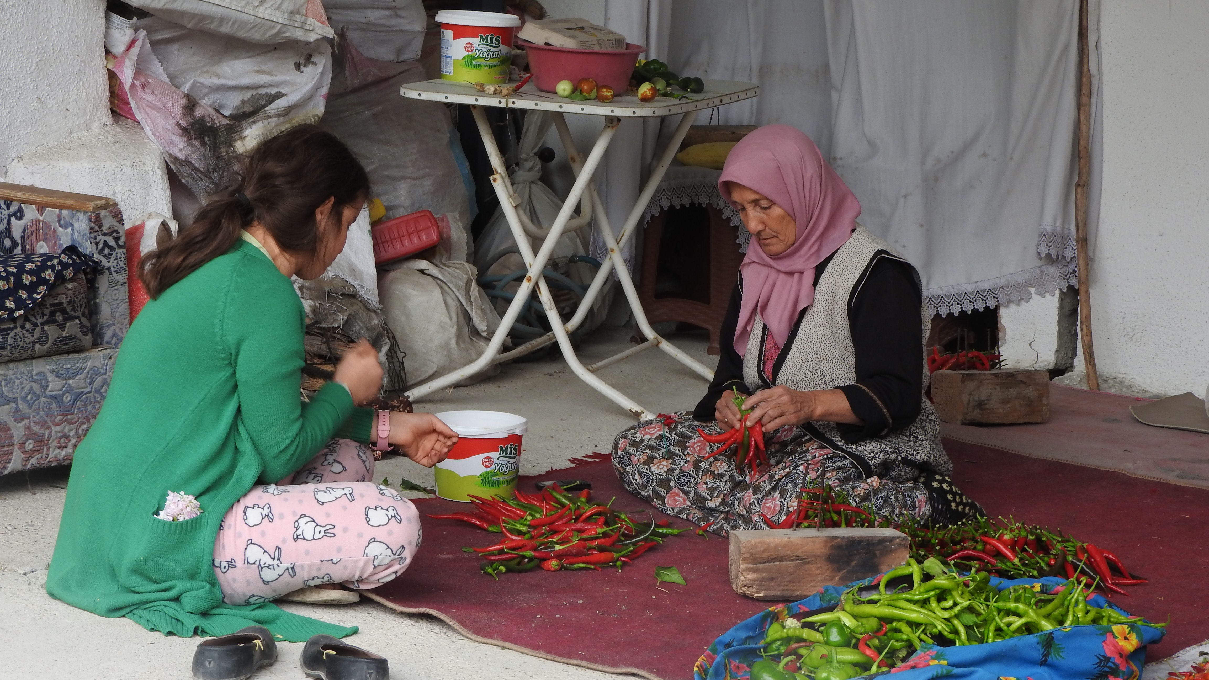 Women Sorting Peppers in Rural Setting · Free Stock Photo