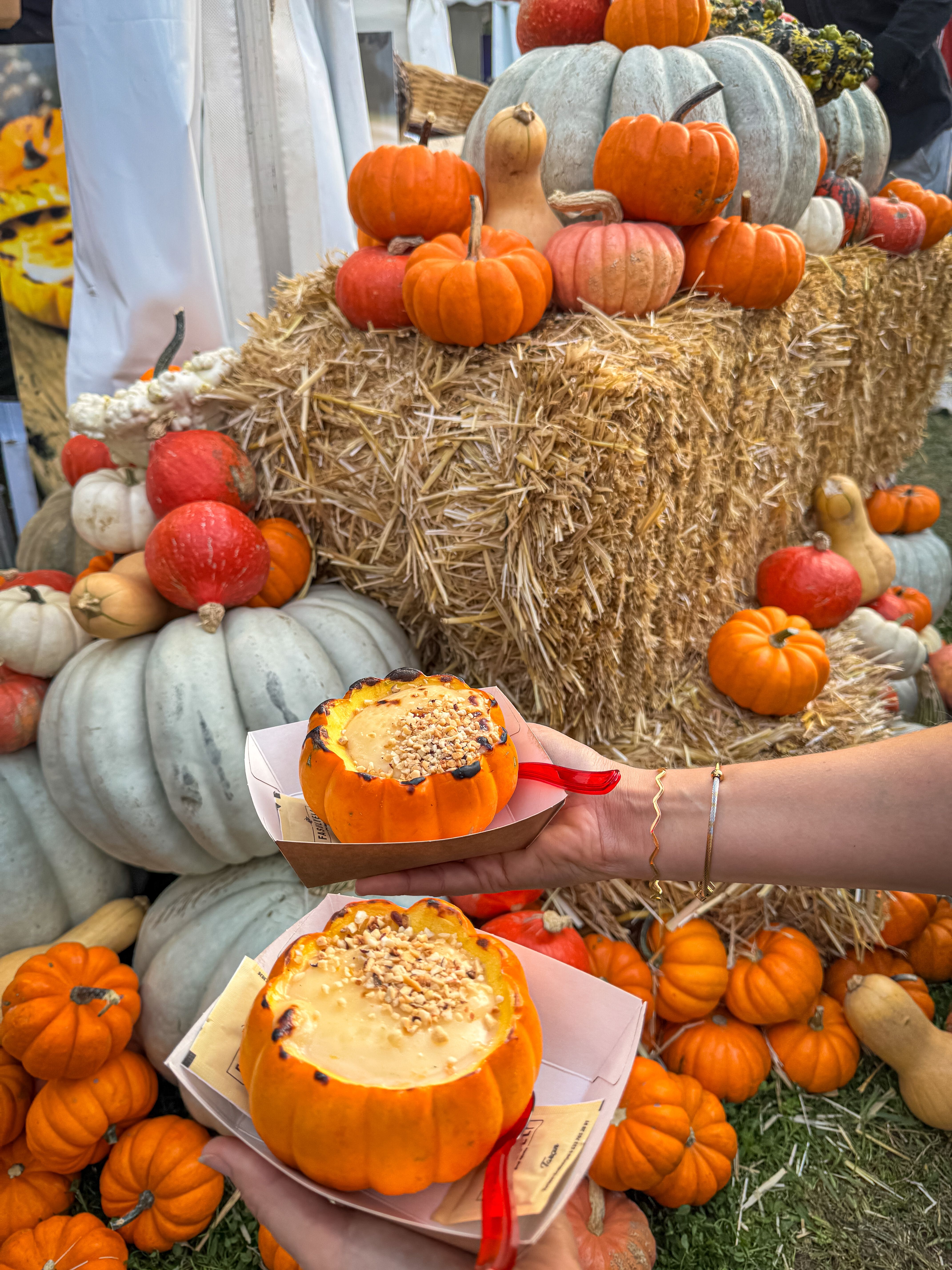 Autumn Pumpkin Photos, Download The BEST Free Autumn Pumpkin Stock ...