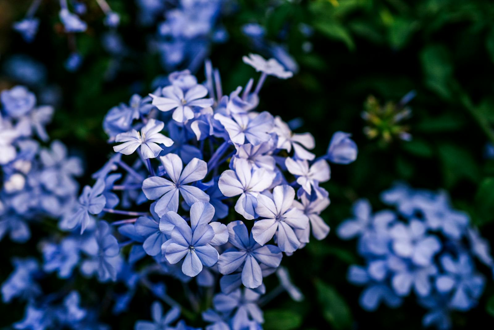 Gfx Background Blue Photos, Download The BEST Free Gfx Background Blue ...