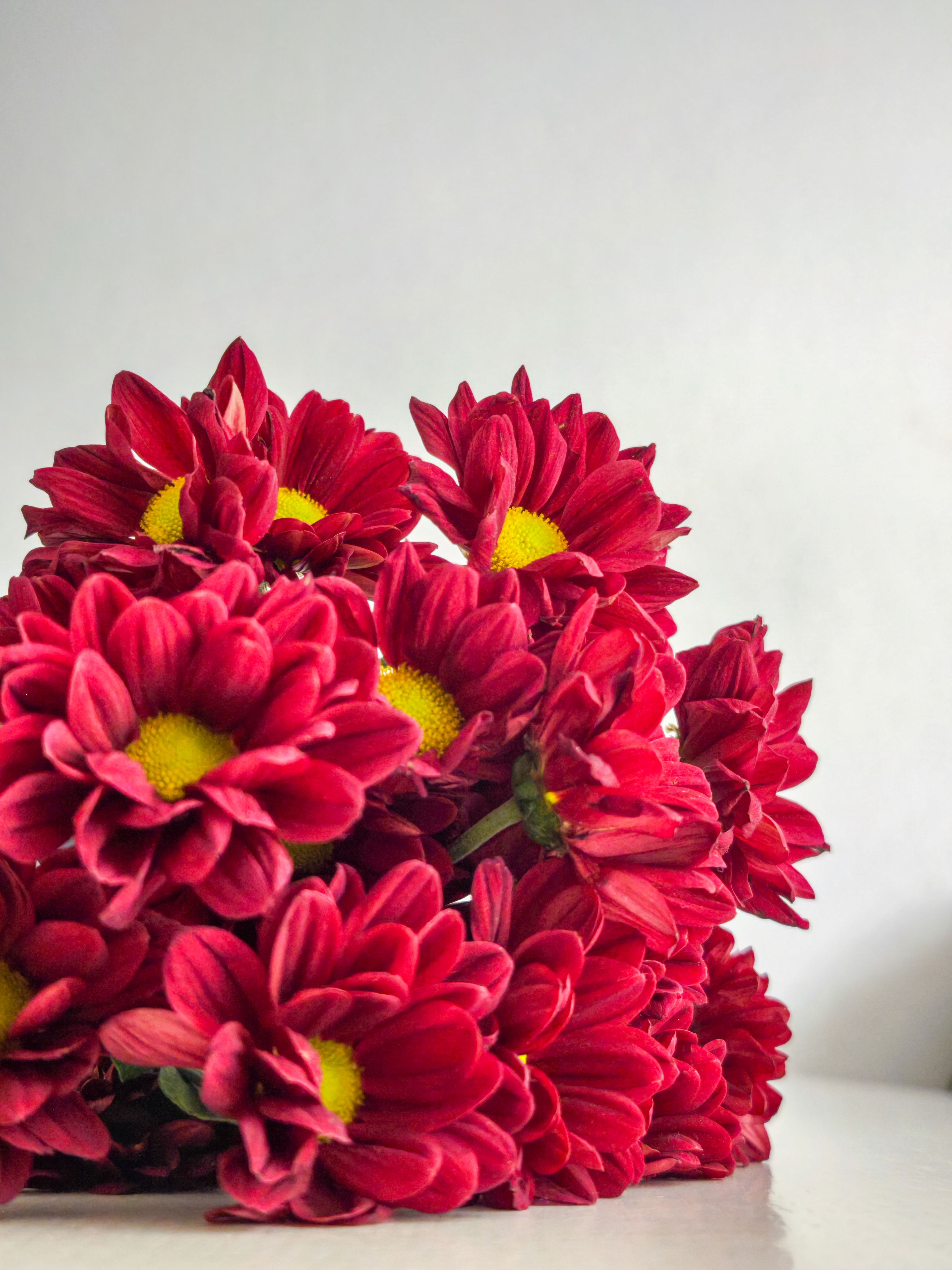 Red Flowers in Clear Glass Vase · Free Stock Photo