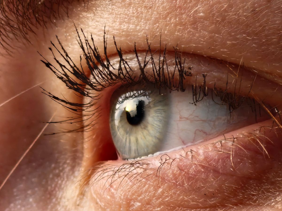 Human Senses Illustration Photos, Download The BEST Free Human Senses ...