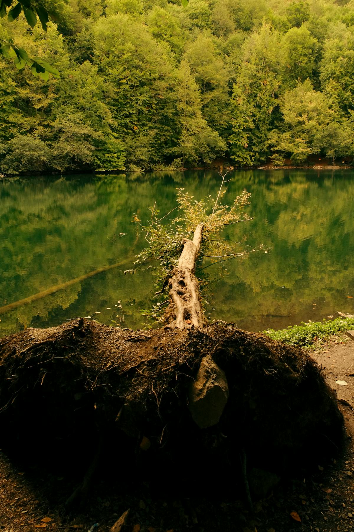 Calm Lake Reflection Photos, Download The BEST Free Calm Lake ...