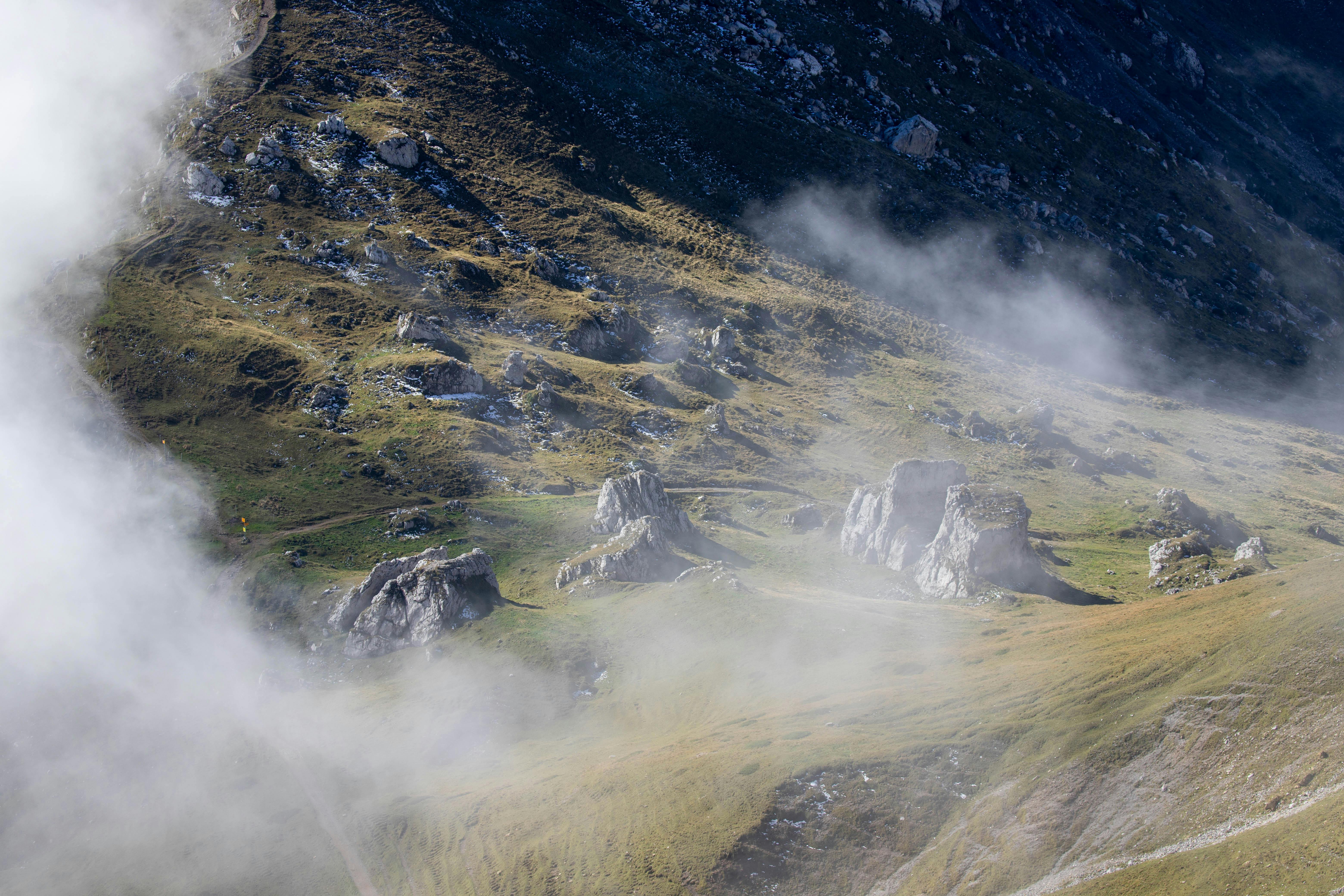 Morning Mist Photos, Download The BEST Free Morning Mist Stock Photos ...