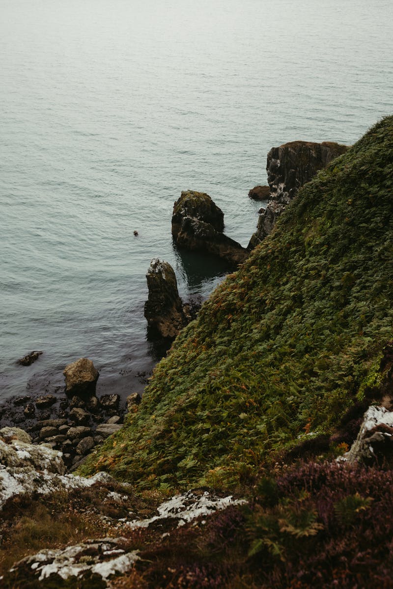 Morning View Photos, Download The BEST Free Morning View Stock Photos ...