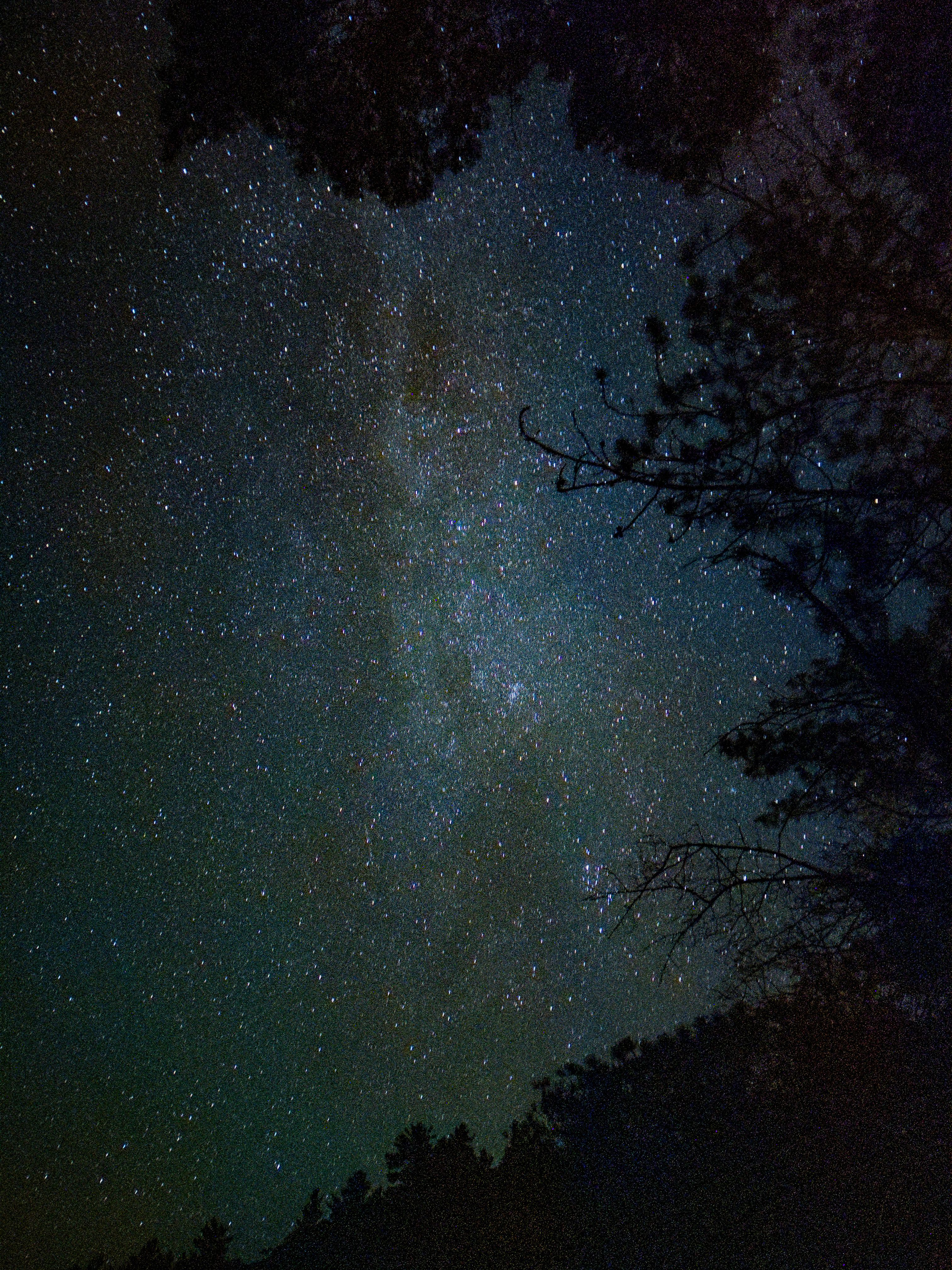 Stars on Clear, Night Sky · Free Stock Photo