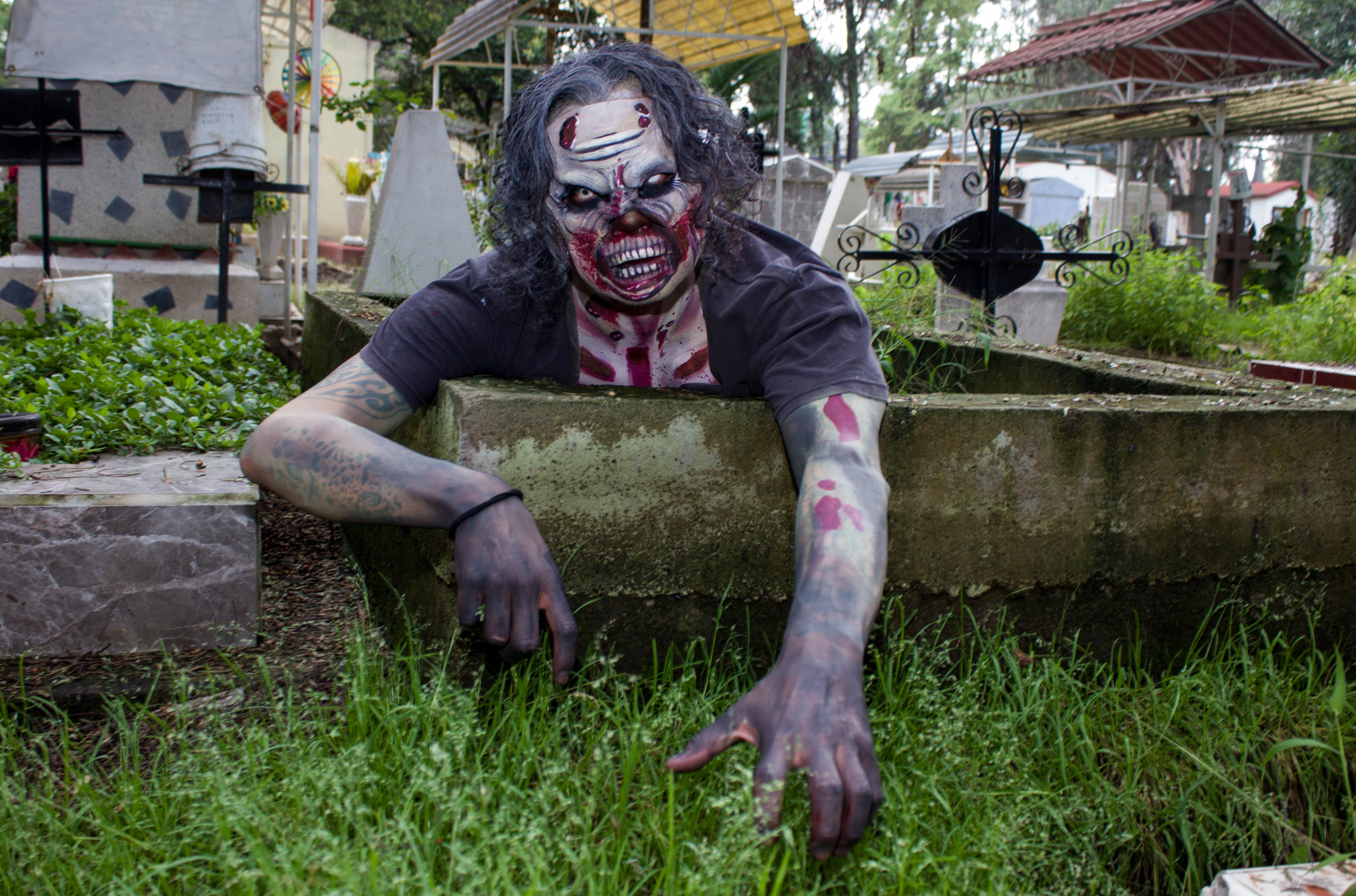 Zombie Photos, Download The BEST Free Zombie Stock Photos & HD Images