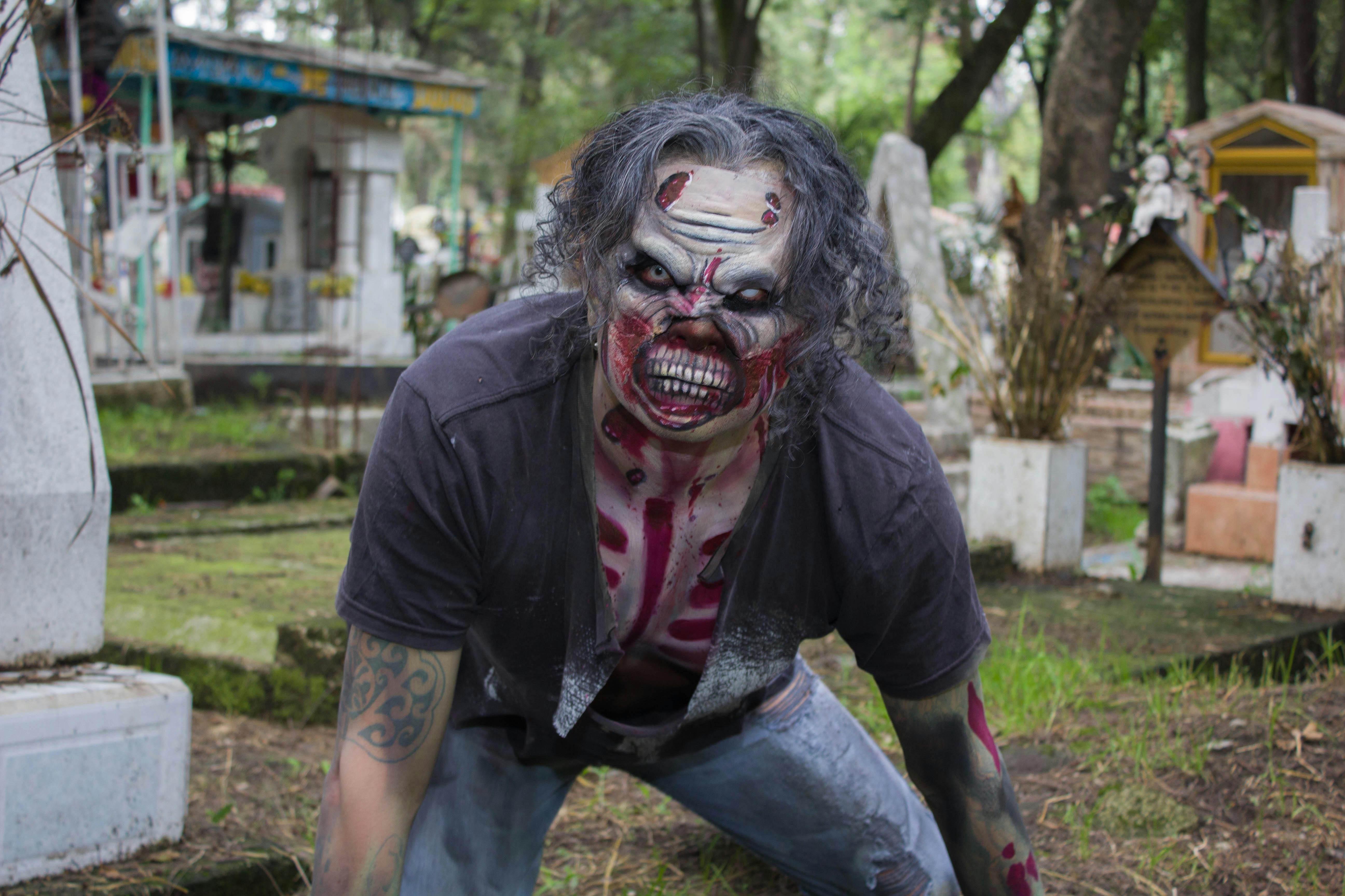 Zombie Photos, Download The BEST Free Zombie Stock Photos & HD Images