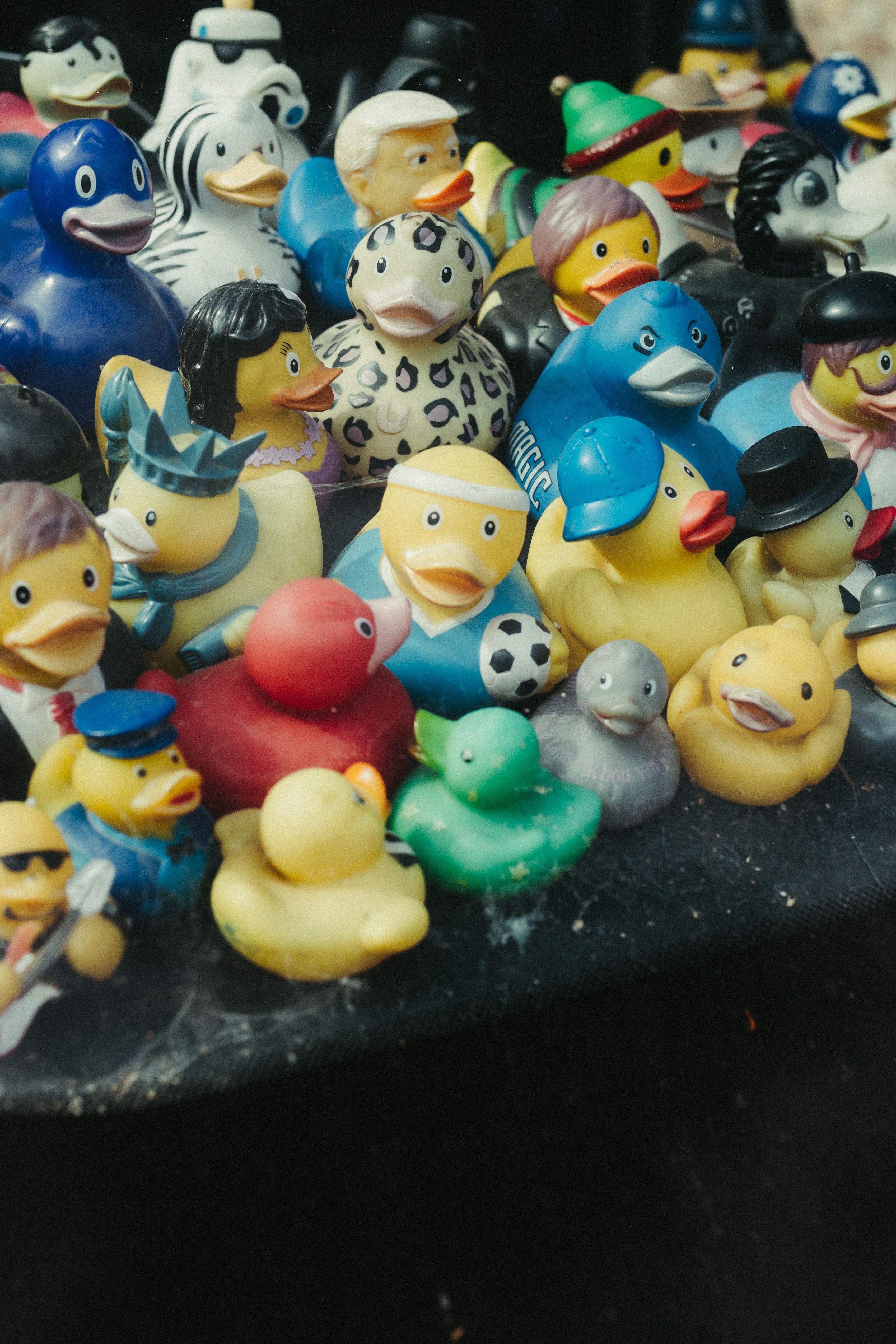 Collection of Colorful Rubber Ducks in Dublin · Free Stock Photo