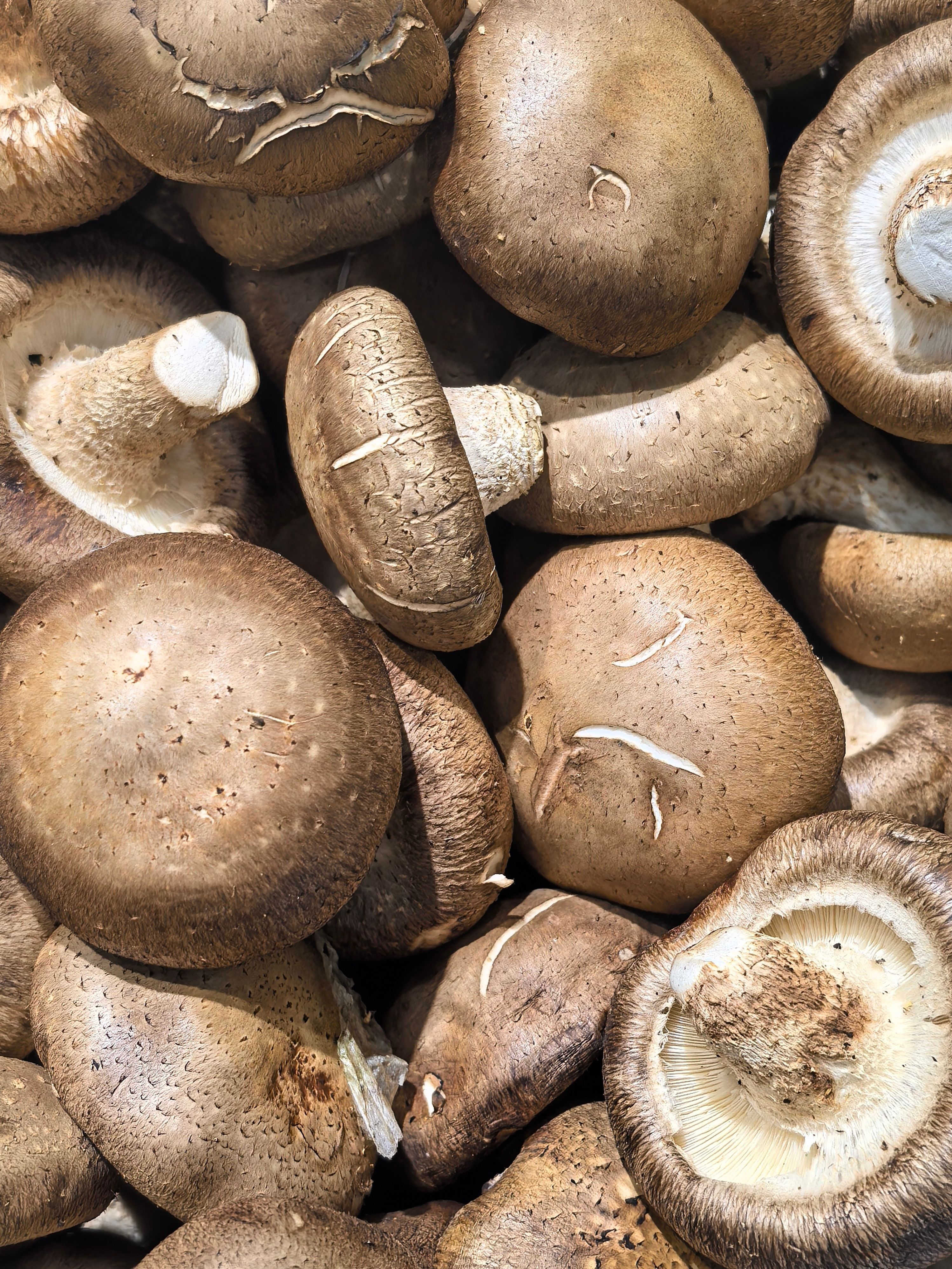 Fresh Shiitake Mushrooms Texture Background · Free Stock Photo