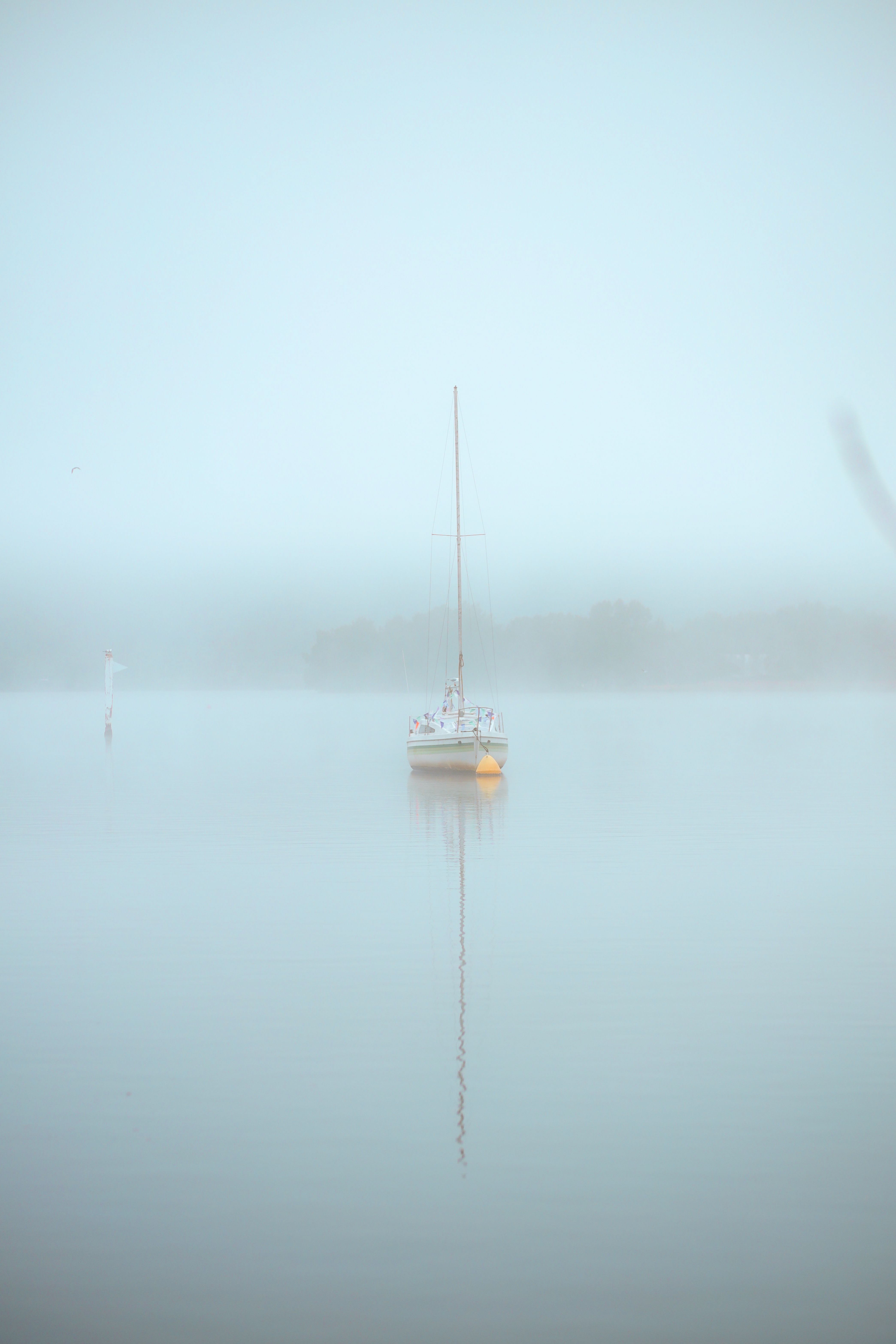 Daniel Morton Jones - Photography