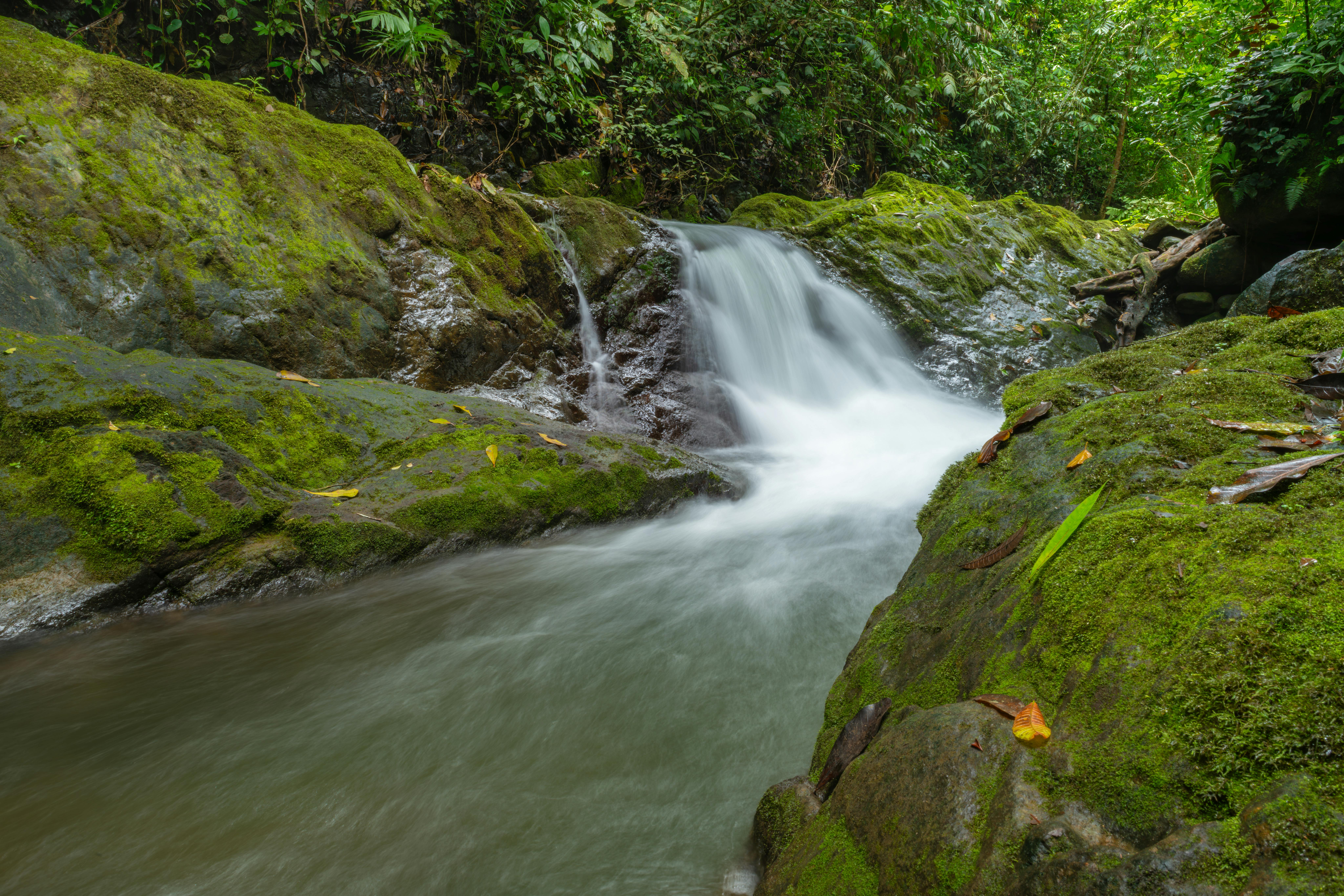 Rainforest Waterfall Photos, Download The BEST Free Rainforest ...